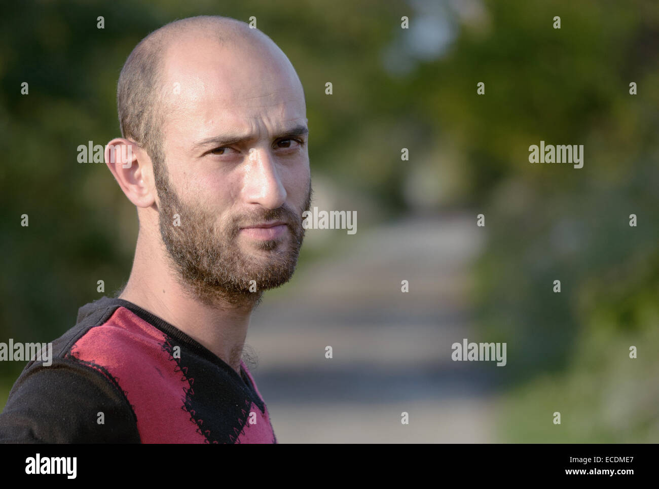 Bearded shaved head hi-res stock photography and images - Alamy