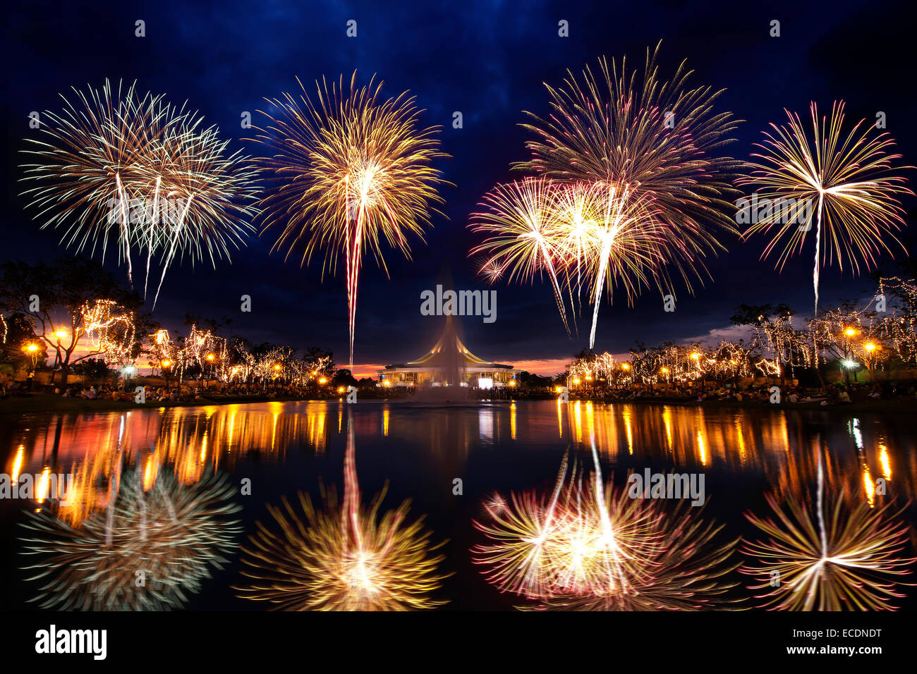 beautiful firework over the park Stock Photo - Alamy