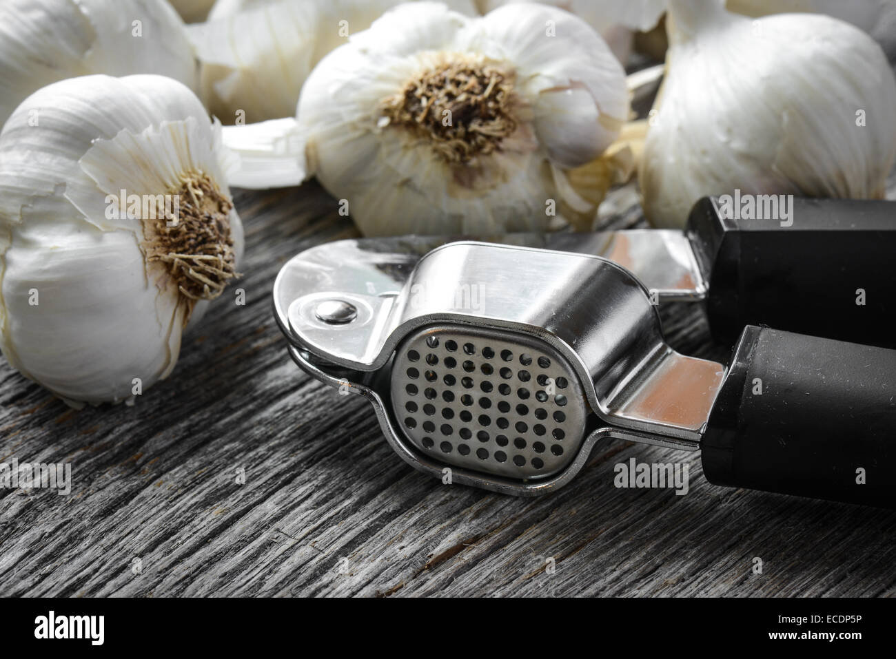 Garlic Press and Garlic Bulb Close Up on Rustic Wood Background Stock ...