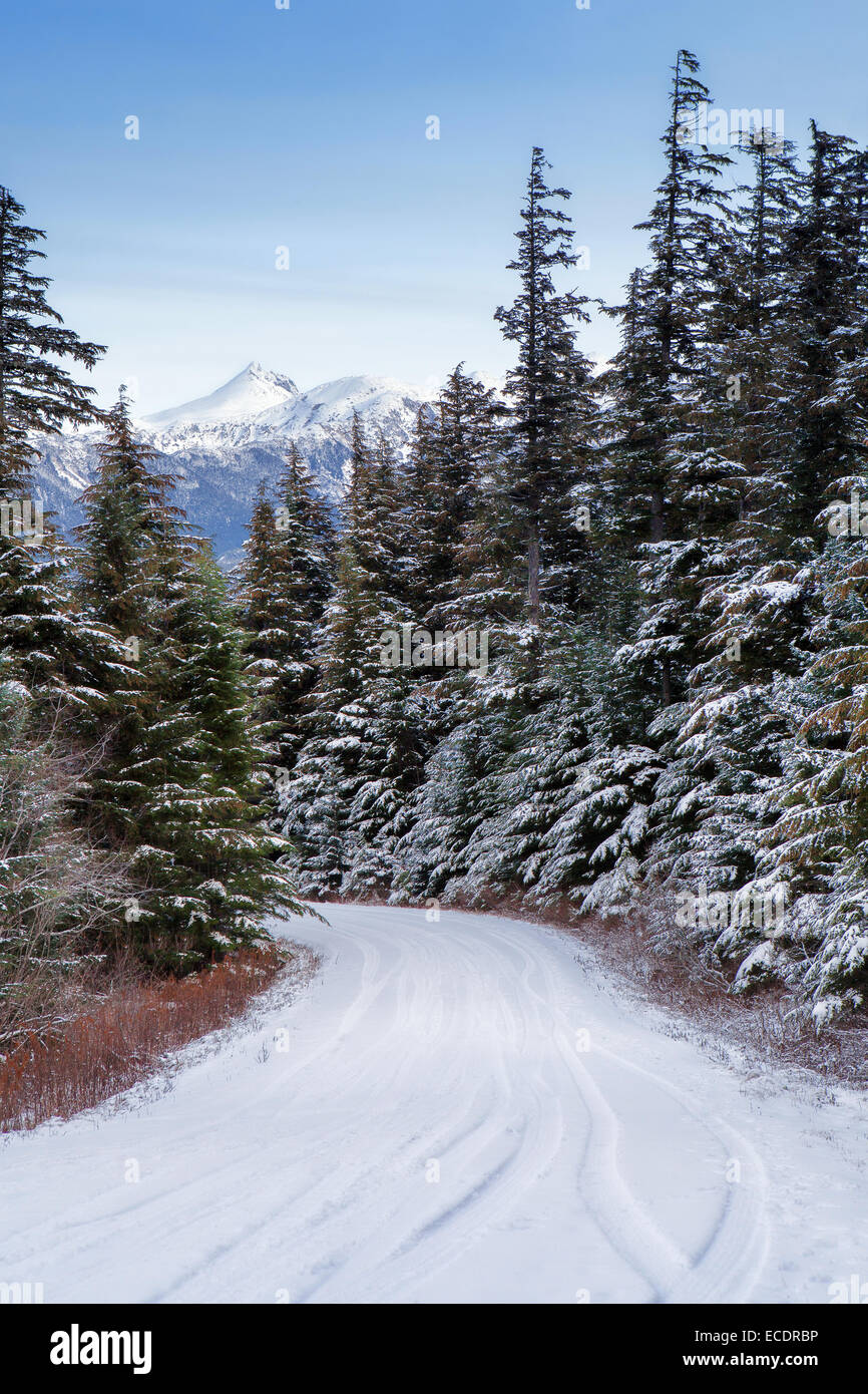 Narrow tree-lined mountain road in Southeast Alaska in winter with ...