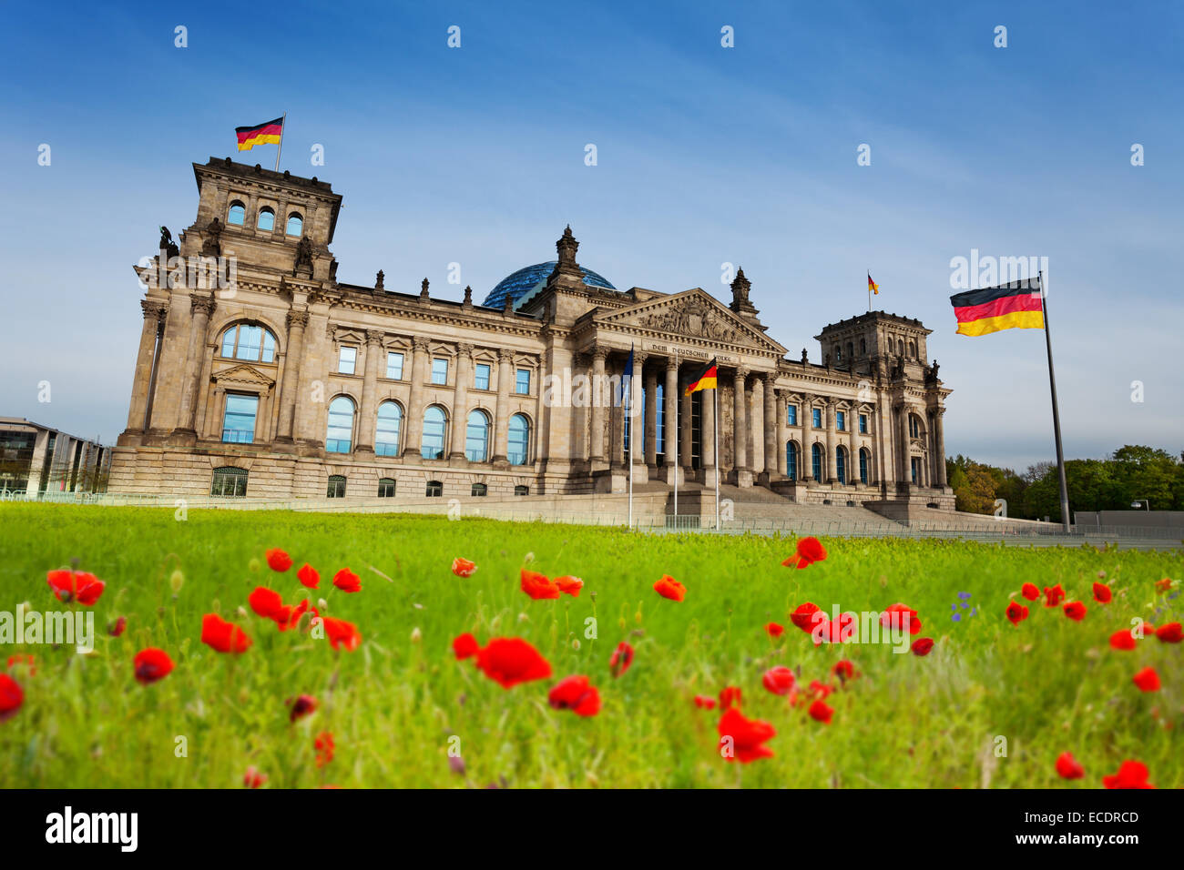 Reichstag view with red tulips and German flags Stock Photo - Alamy