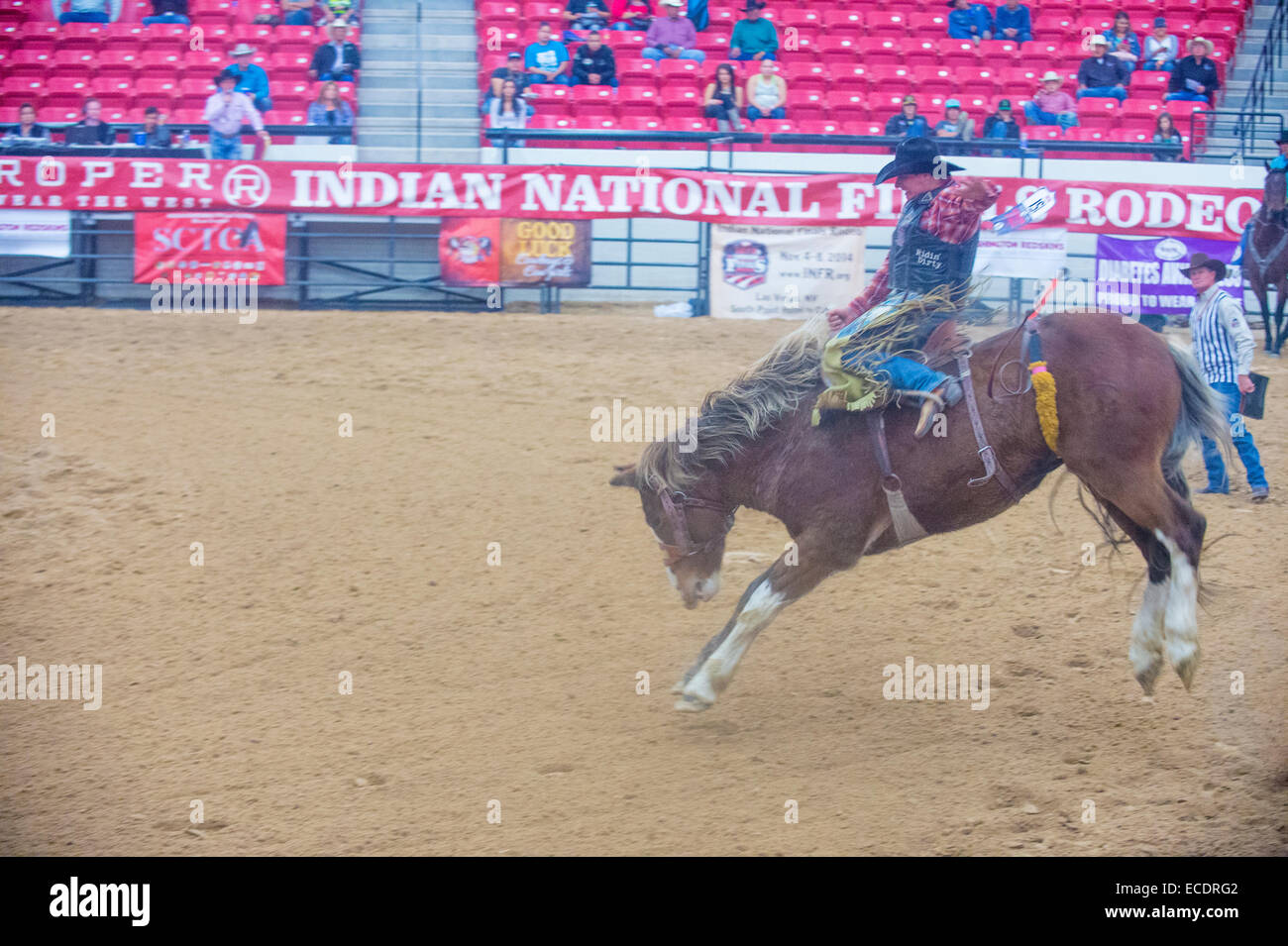 Bucking horse bronco hi-res stock photography and images - Alamy