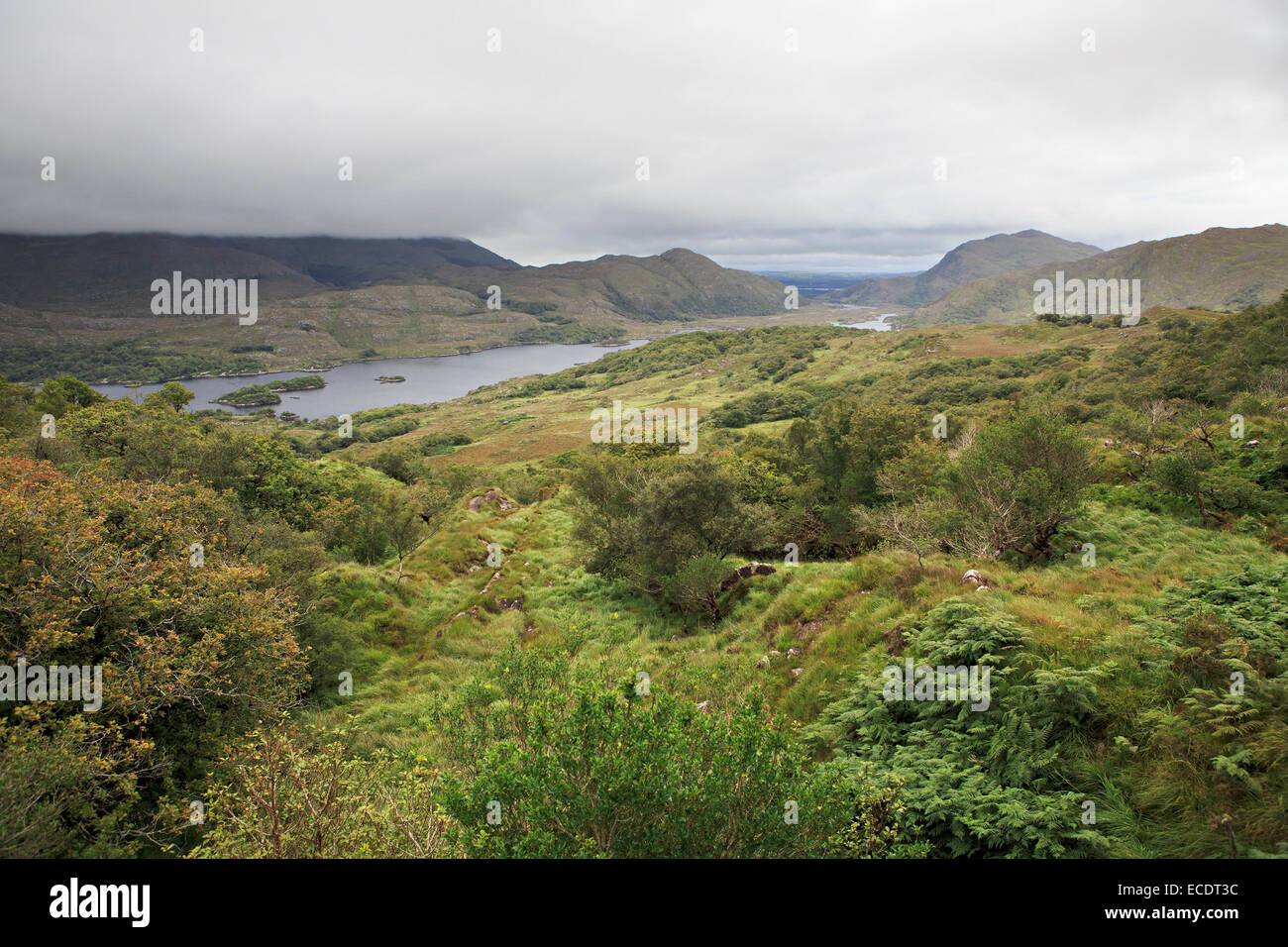 Ladies View in Killarney National Park Stock Photo - Alamy