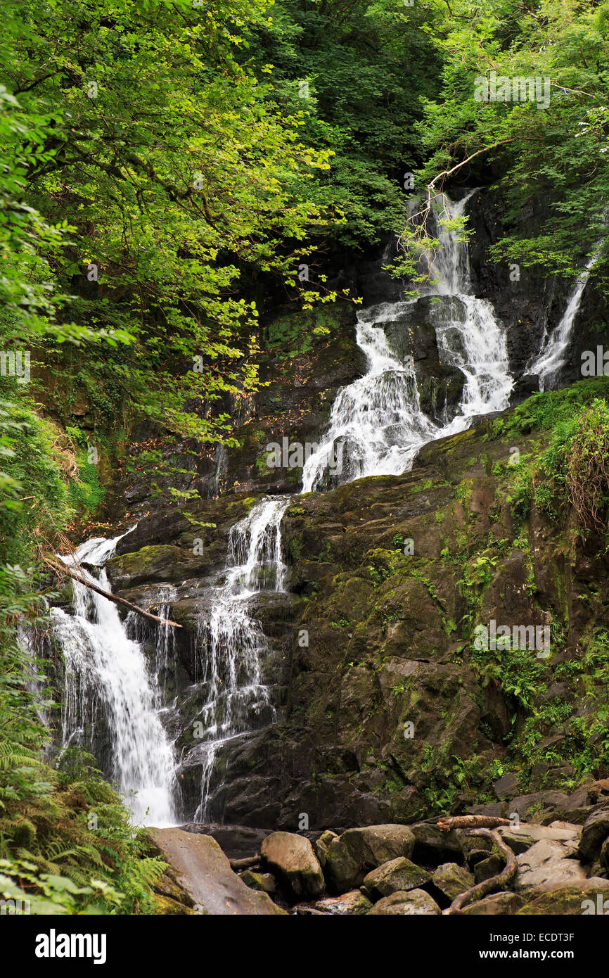 Torc Waterfall in Killarney National Park Stock Photo - Alamy