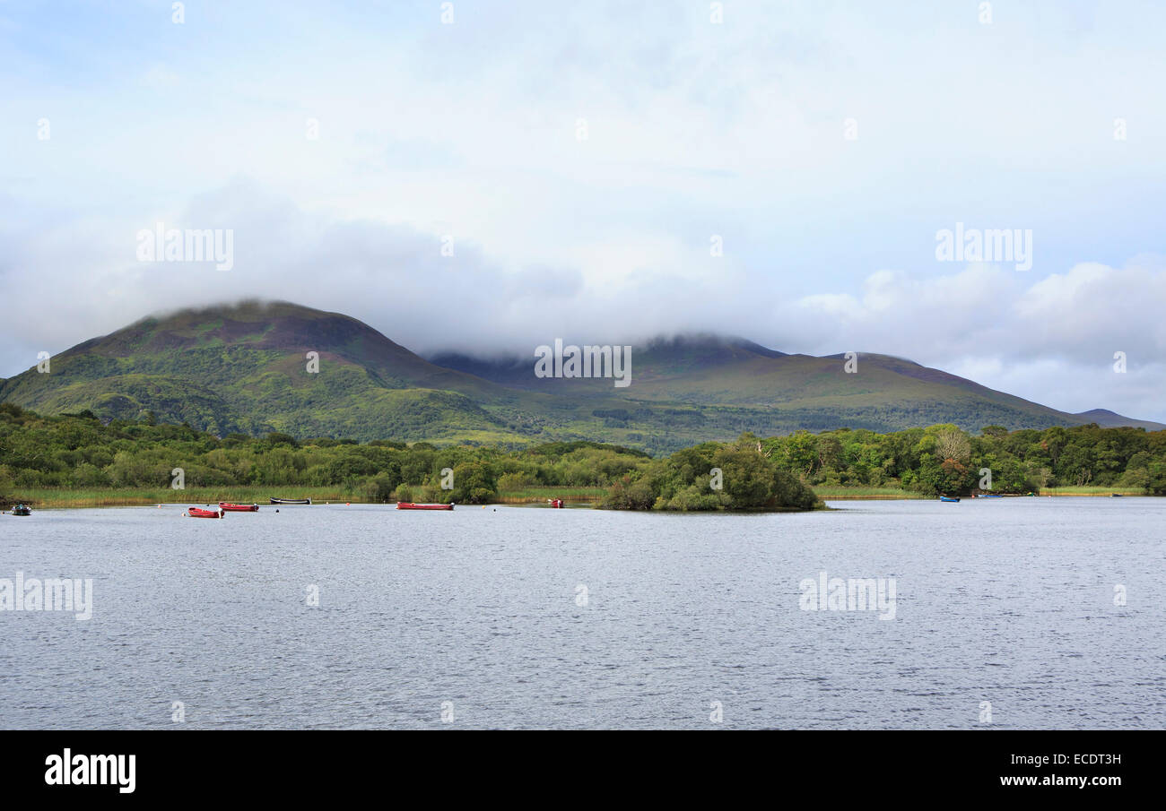 Ross Bay Lough Leane Lower Lake Stock Photo - Alamy
