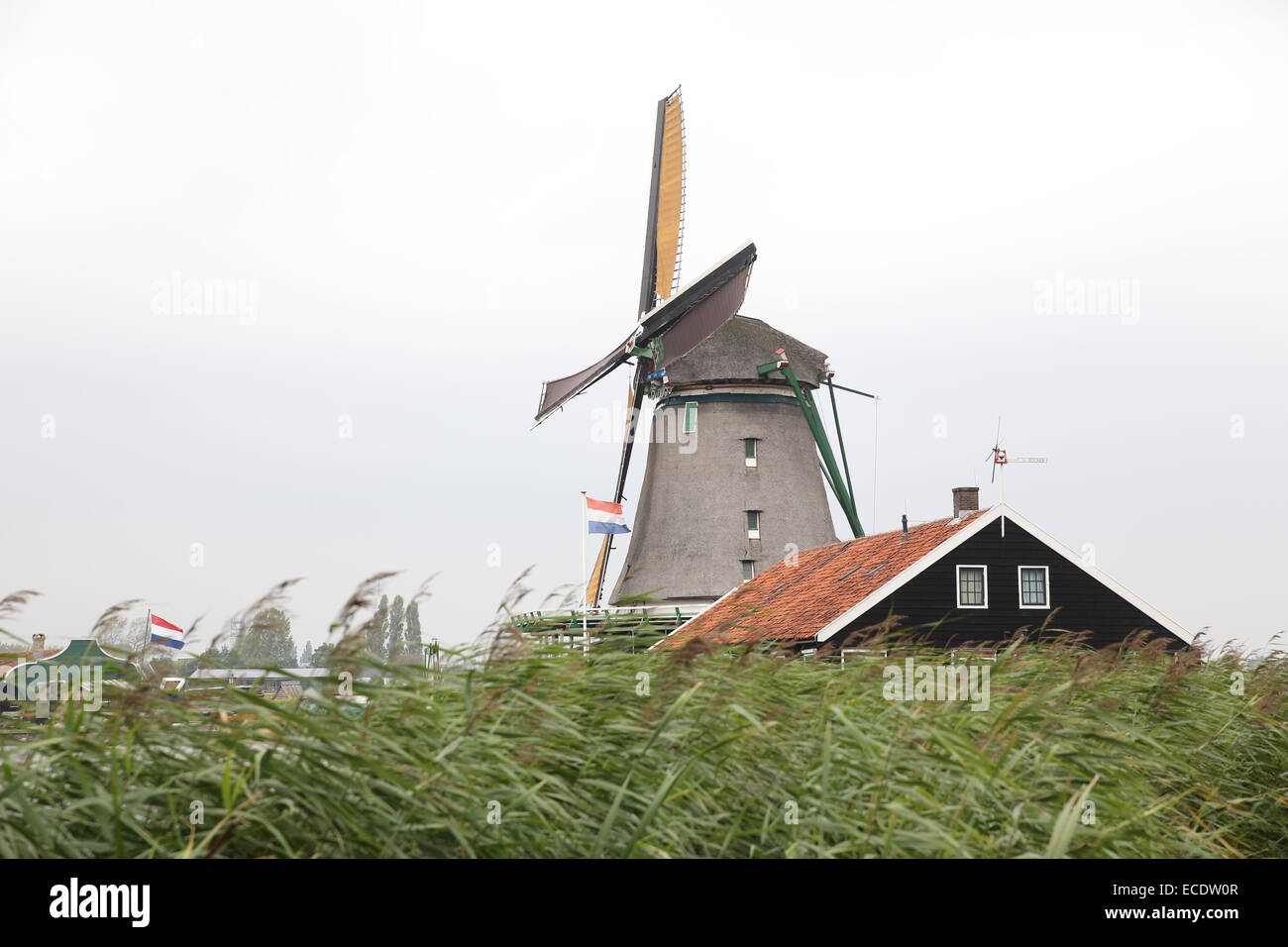Holland windmill Netherlands flag Stock Photo - Alamy