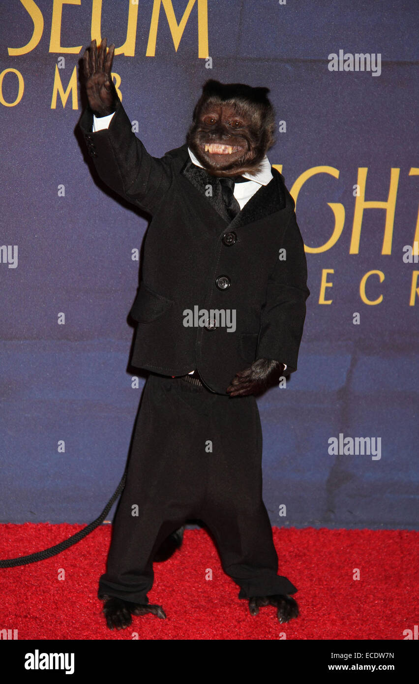 Night At The Museum Monkey