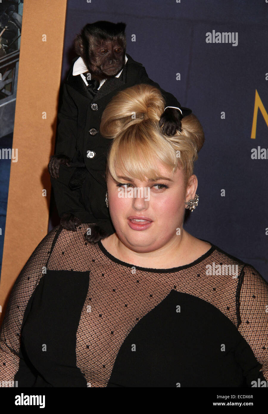 Dexter the monkey hi-res stock photography and images - Alamy