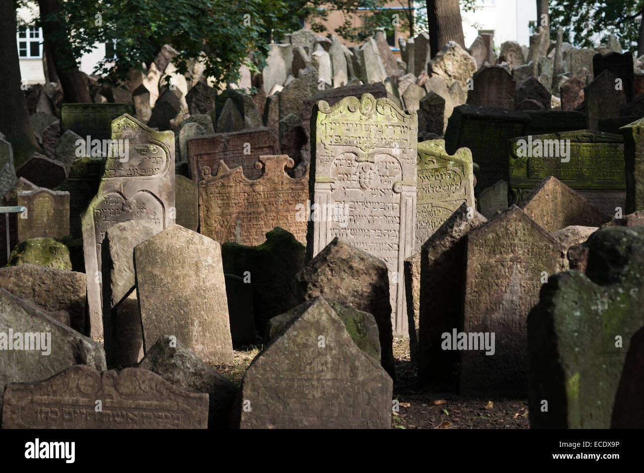 Crowded and compressed tombstones in the Jewish Cemetery, Jewish ...