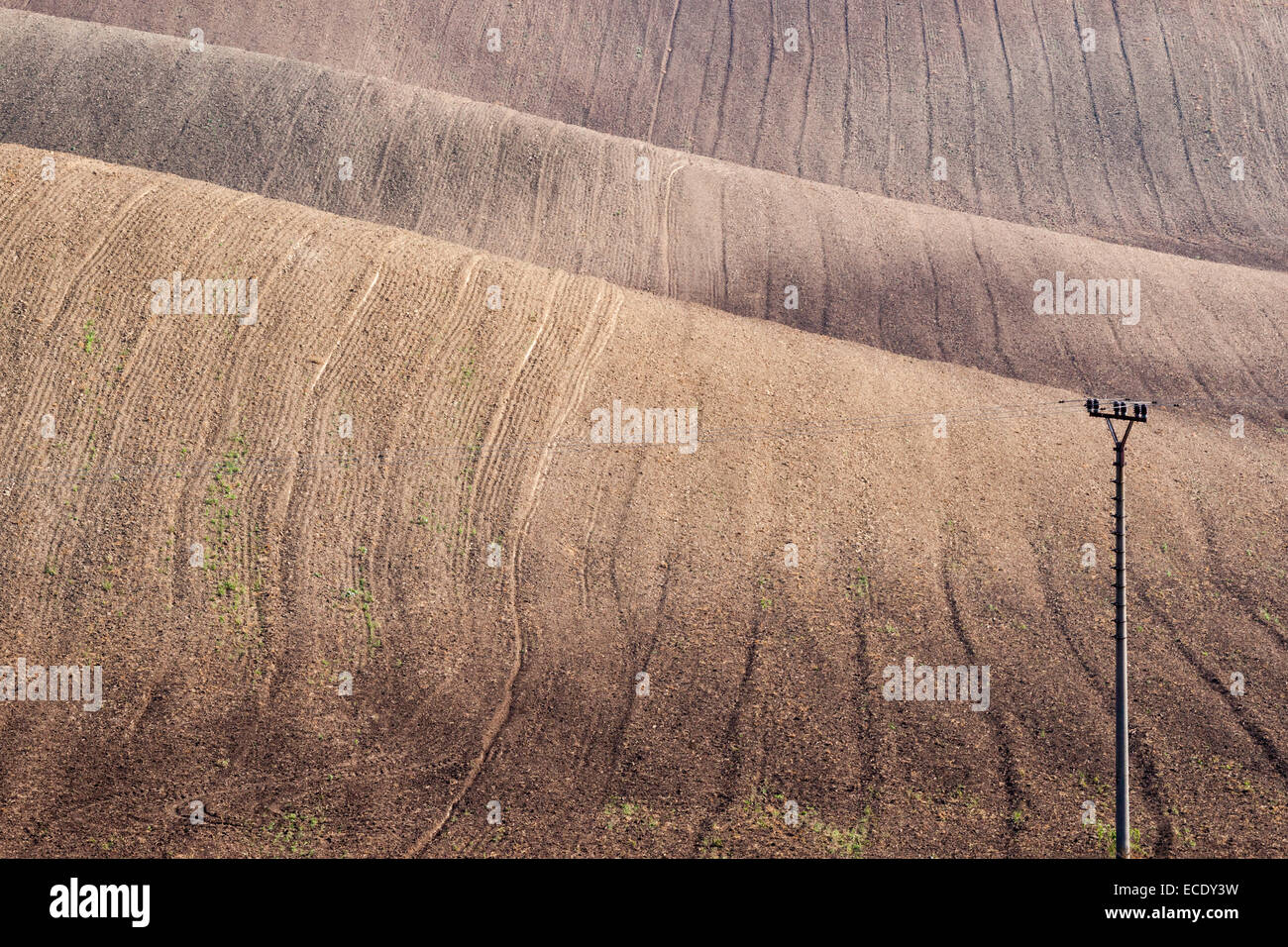 Undulating hills in agricultural fields after harvest, Nesovice area ...