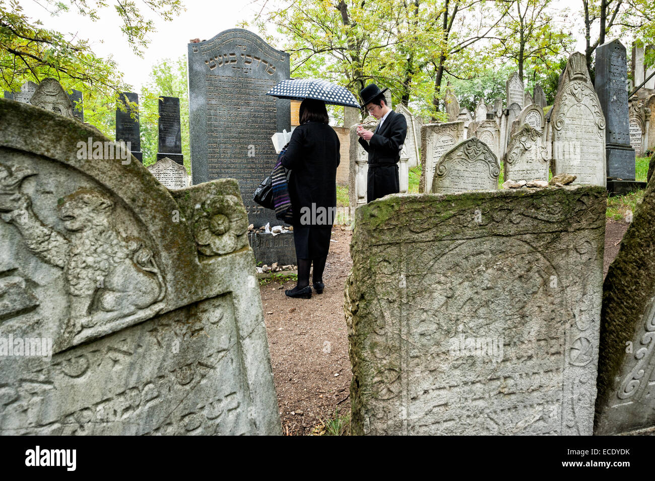 Jewish man and his mother visit the Jewish Cemetery in the rain, South ...