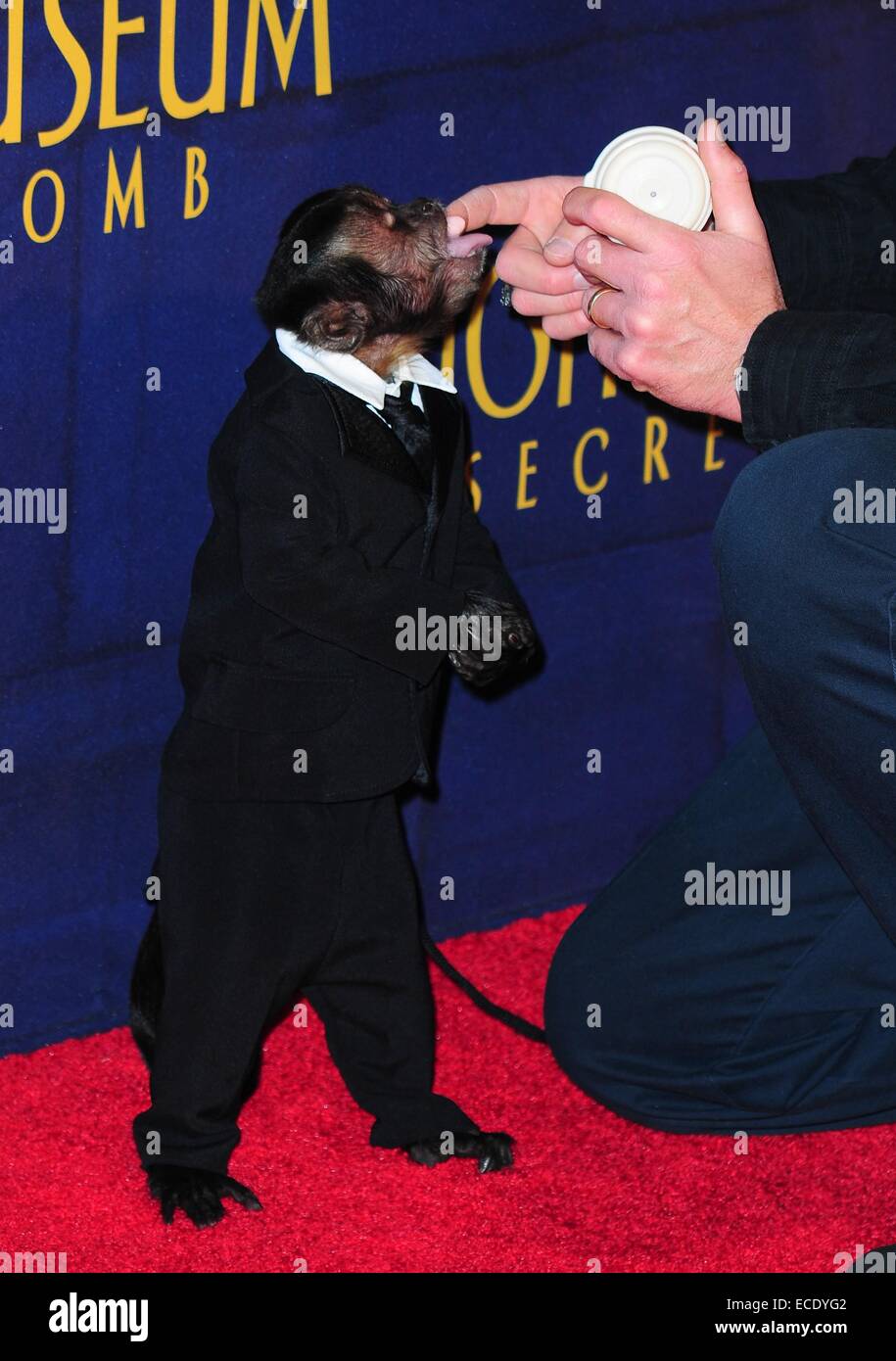 New York, NY, USA. 11th Dec, 2014. Crystal the Monkey at arrivals for ...
