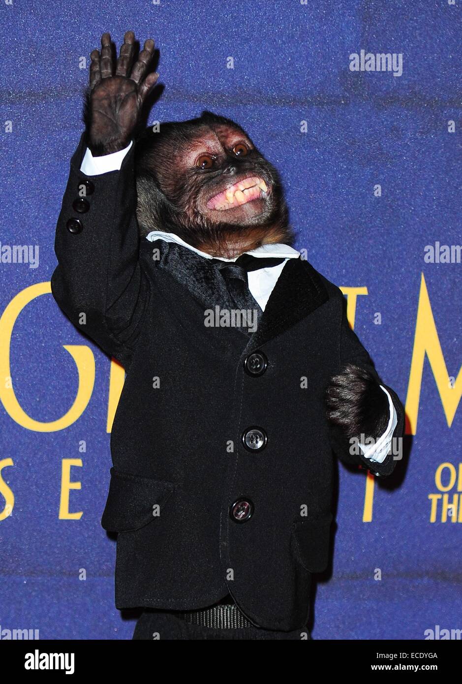 Crystal monkey night at the museum hi-res stock photography and images ...