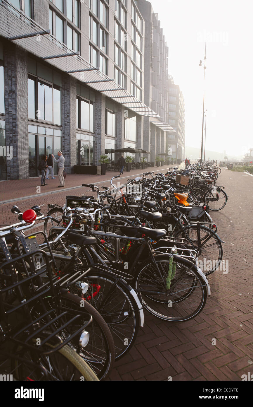 Amsterdam morning bike rack Stock Photo - Alamy