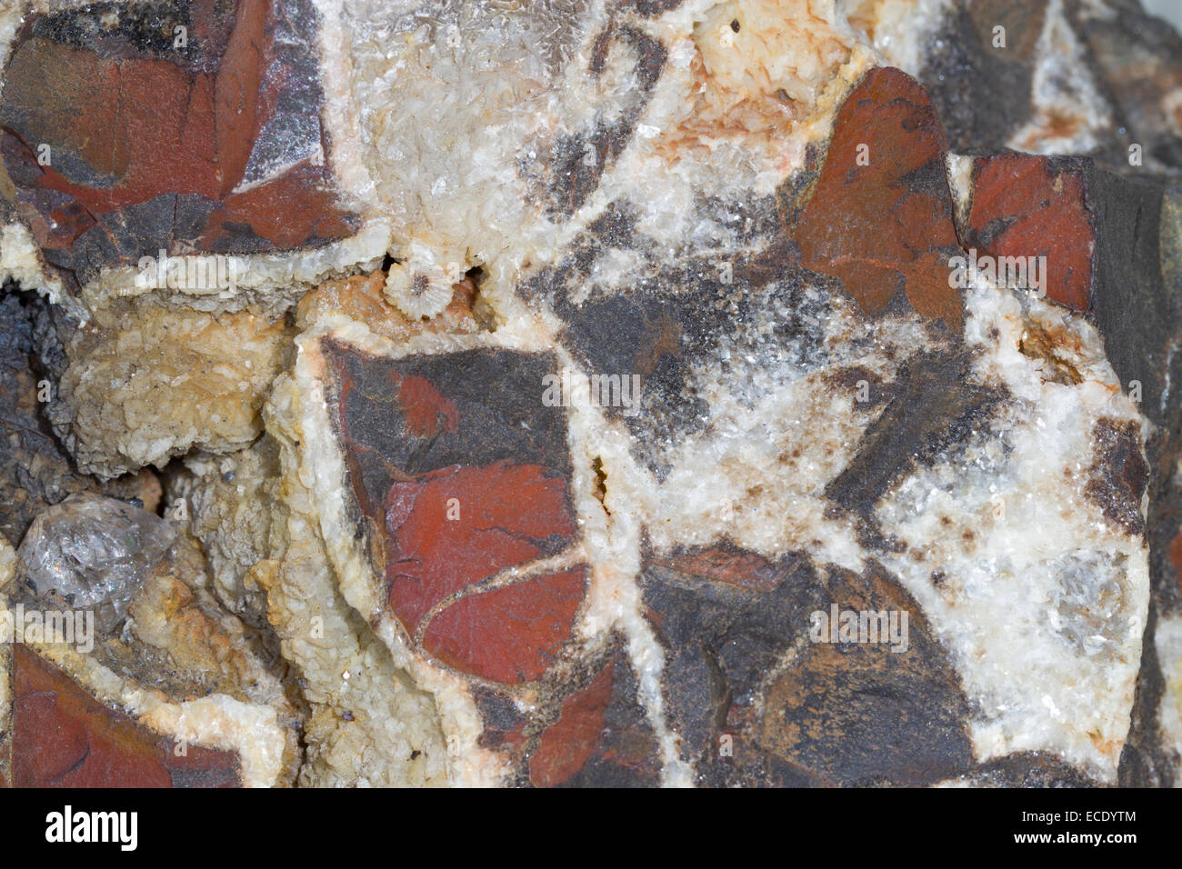 Minerals - Ironstone with veining of siderite (Iron Carbonate). From ...