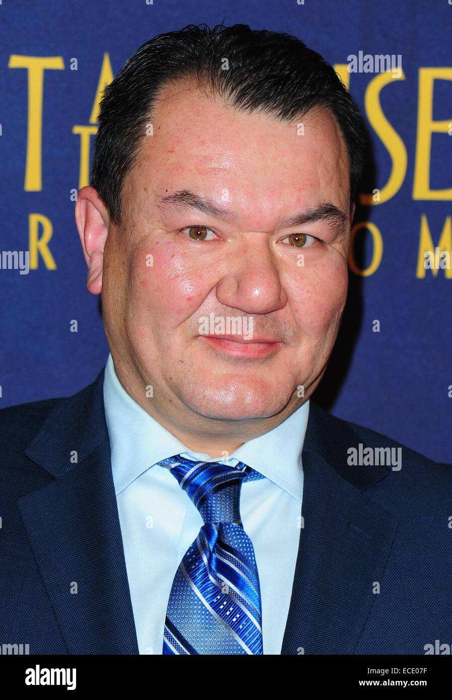 New York, NY, USA. 11th Dec, 2014. Patrick Gallagher at arrivals for ...