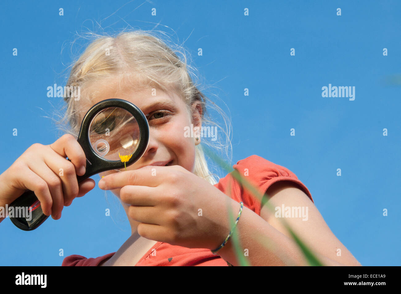 Girl (10-11) examining flower through magnifying glass, low angle view ...