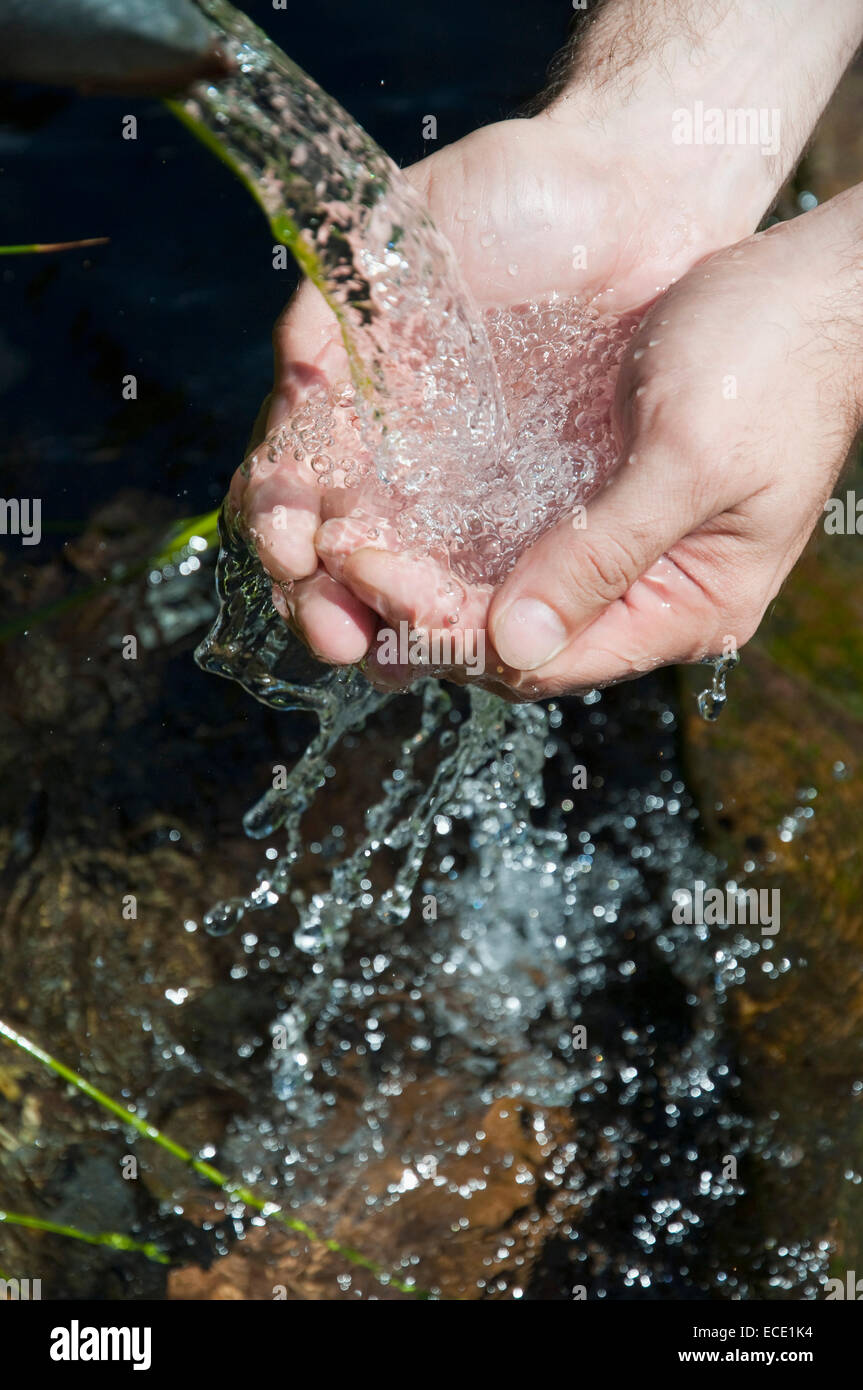 Human hand holding water in hands Stock Photo - Alamy