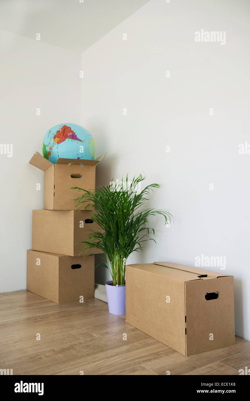 Moving house home still life boxes plant pot Stock Photo - Alamy