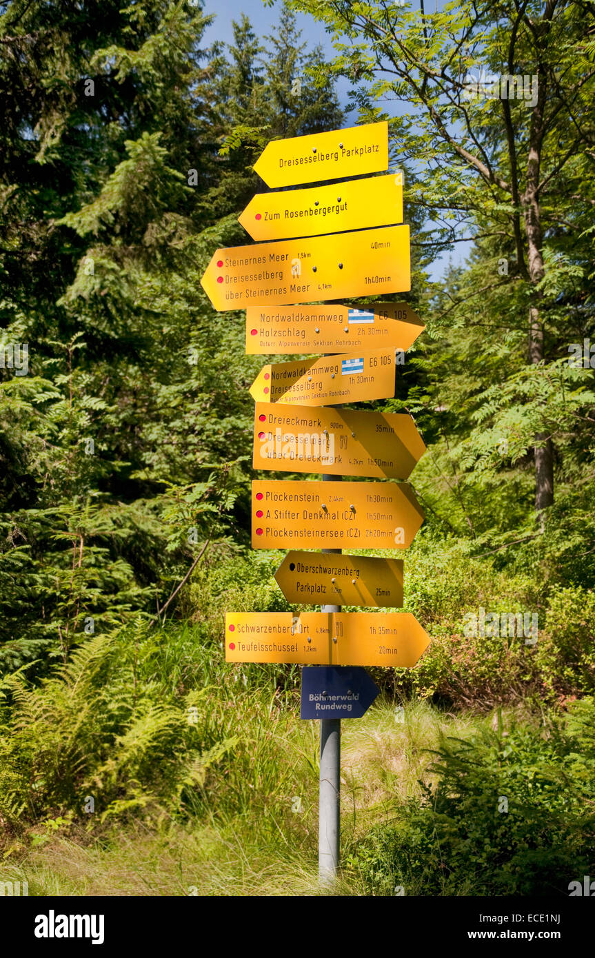 Information sign at Bavarian Forest, Germany Stock Photo - Alamy