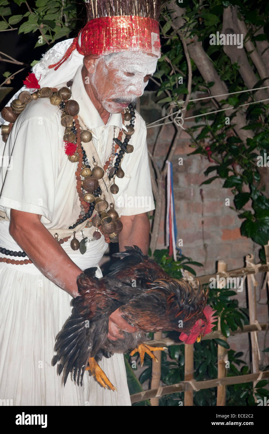 Tamang Shaman sacrifying chicken in ceremony, Nepal Stock Photo - Alamy