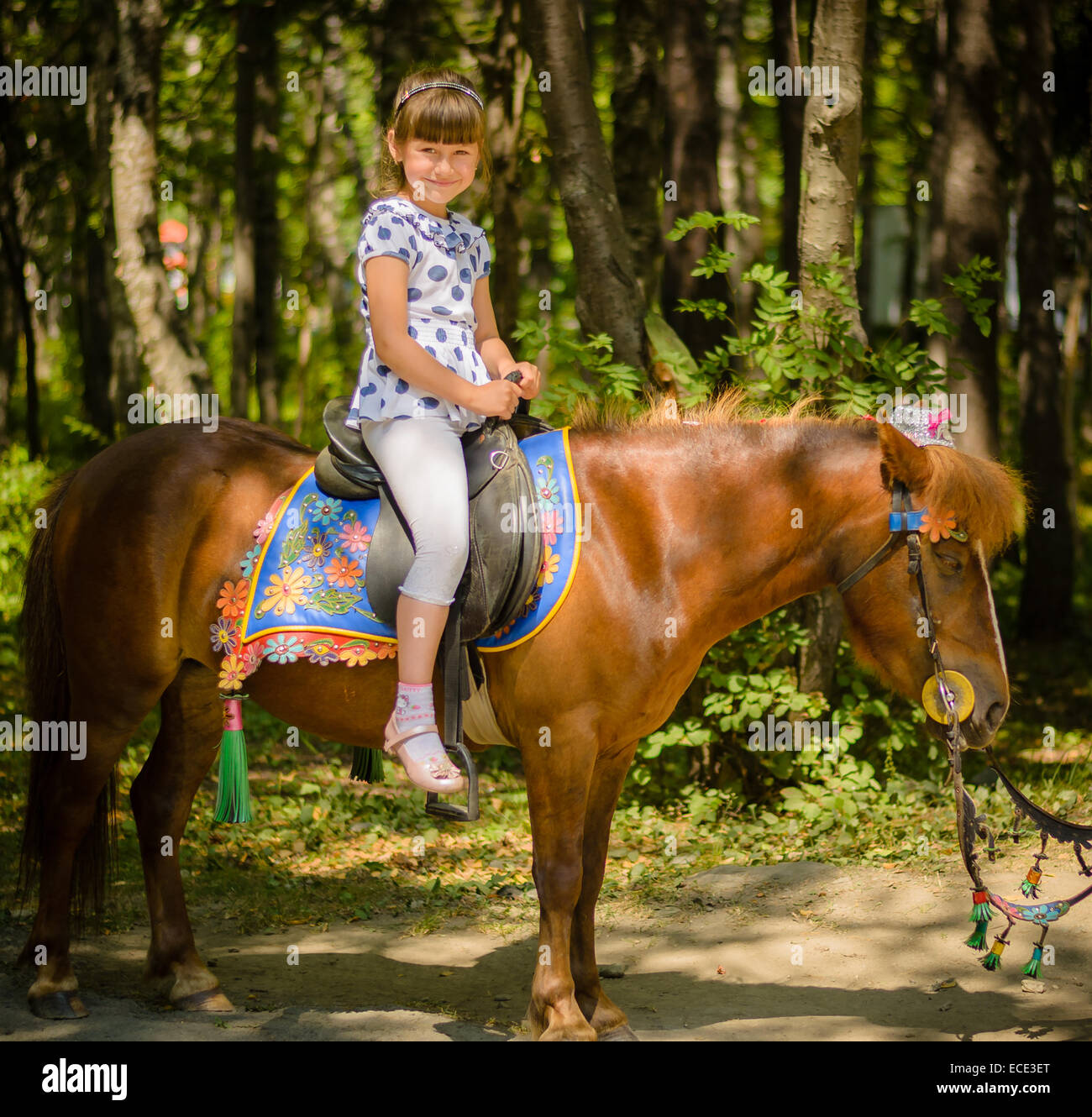 girl riding on a horse in the bright horse-cloth, smiling, summer in ...