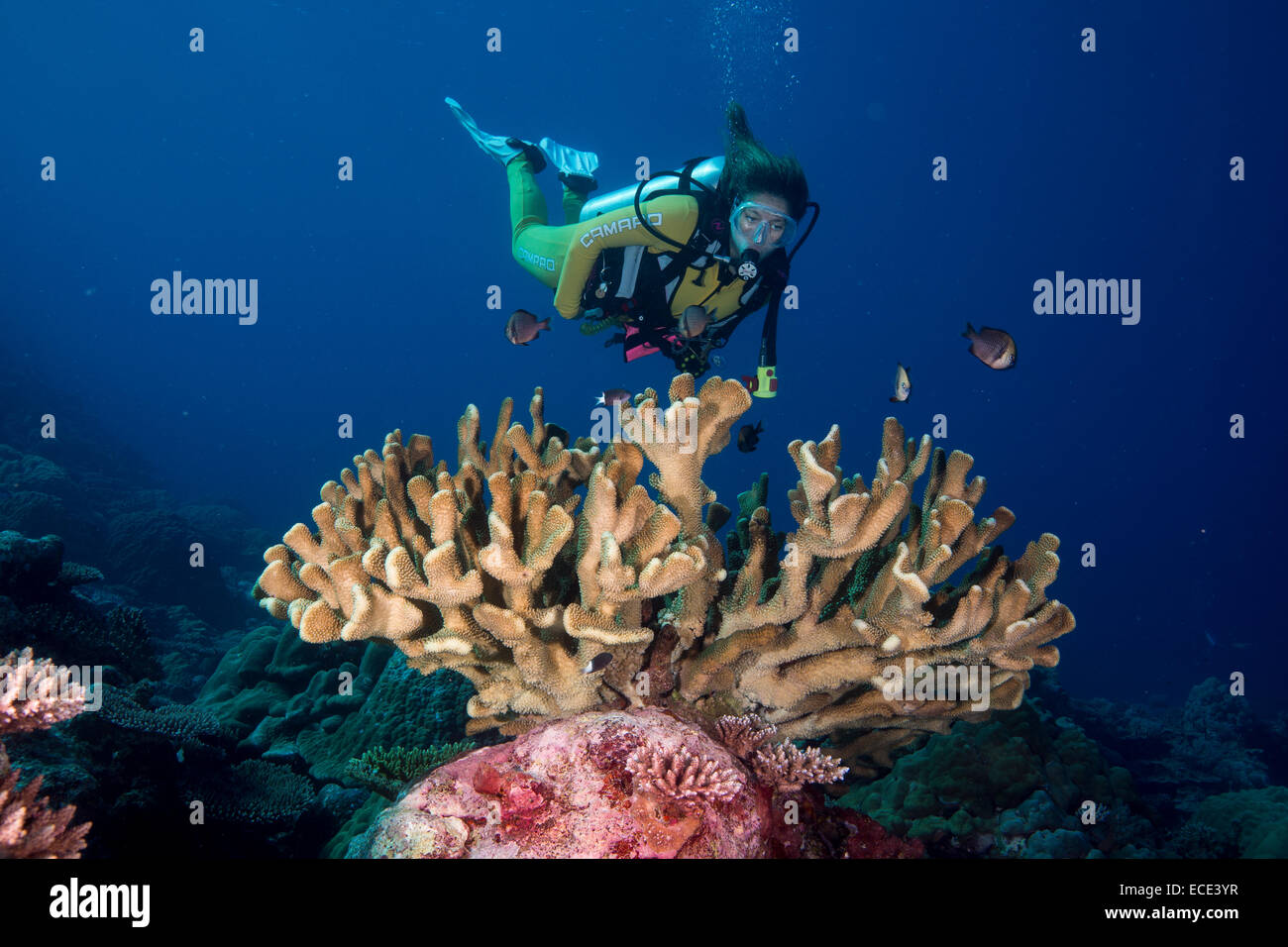 Malampaya hi-res stock photography and images - Alamy