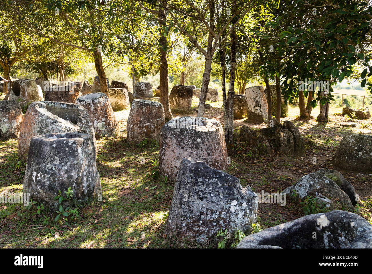 Plain of jars hi-res stock photography and images - Alamy