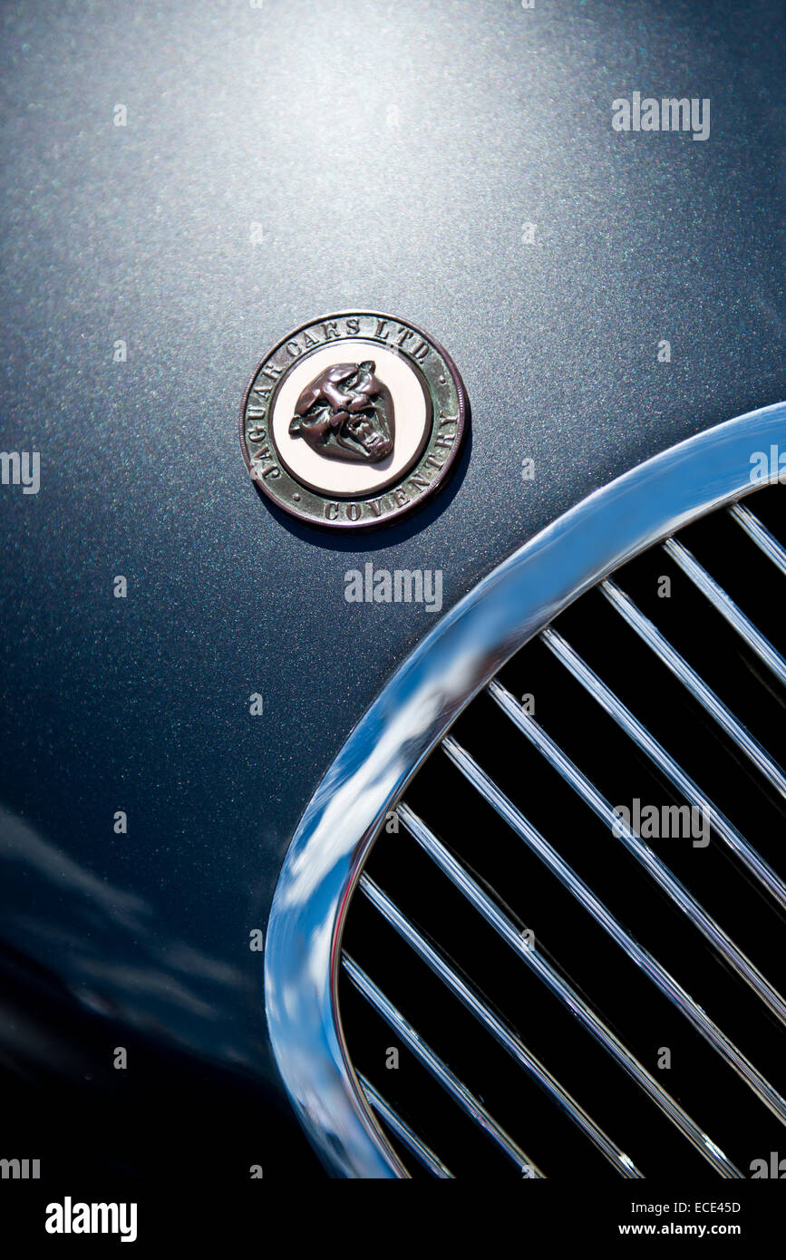 Jaguar bonnet mascot Stock Photo - Alamy