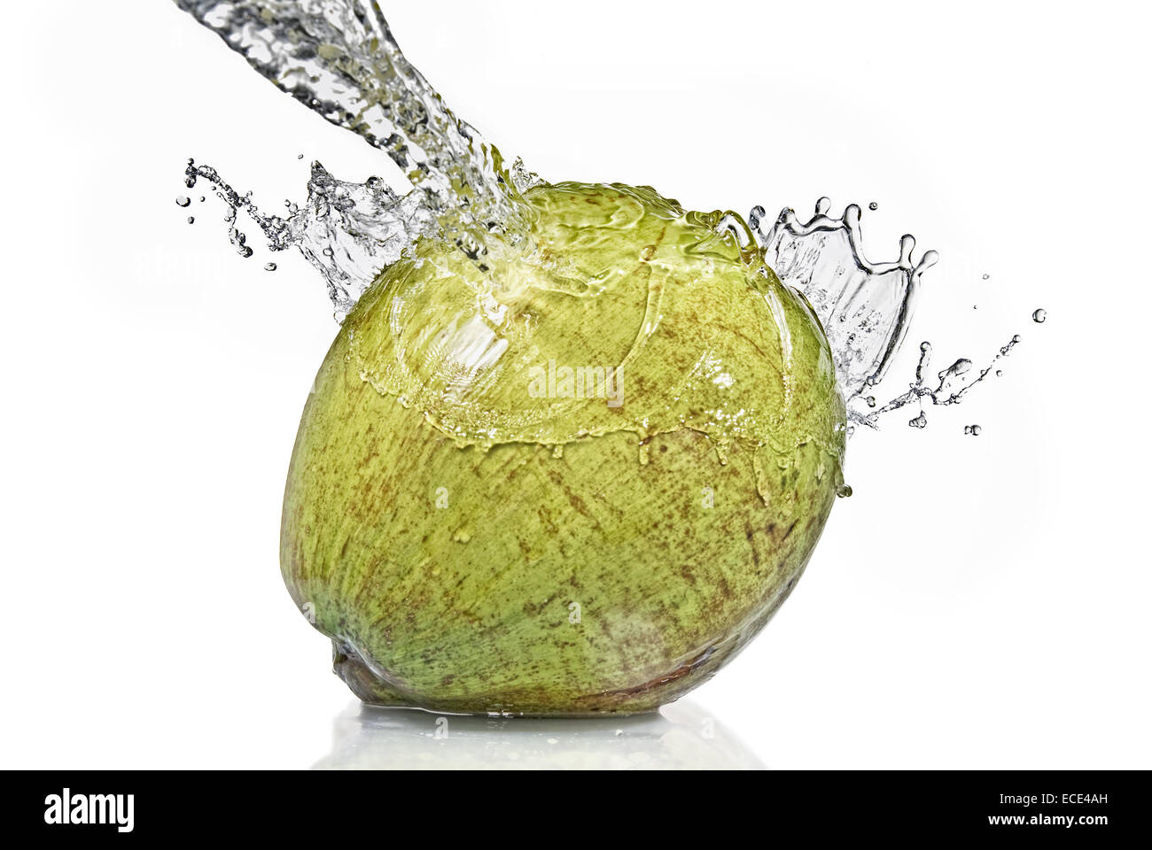 fresh water splash on coconut isolated on white Stock Photo - Alamy