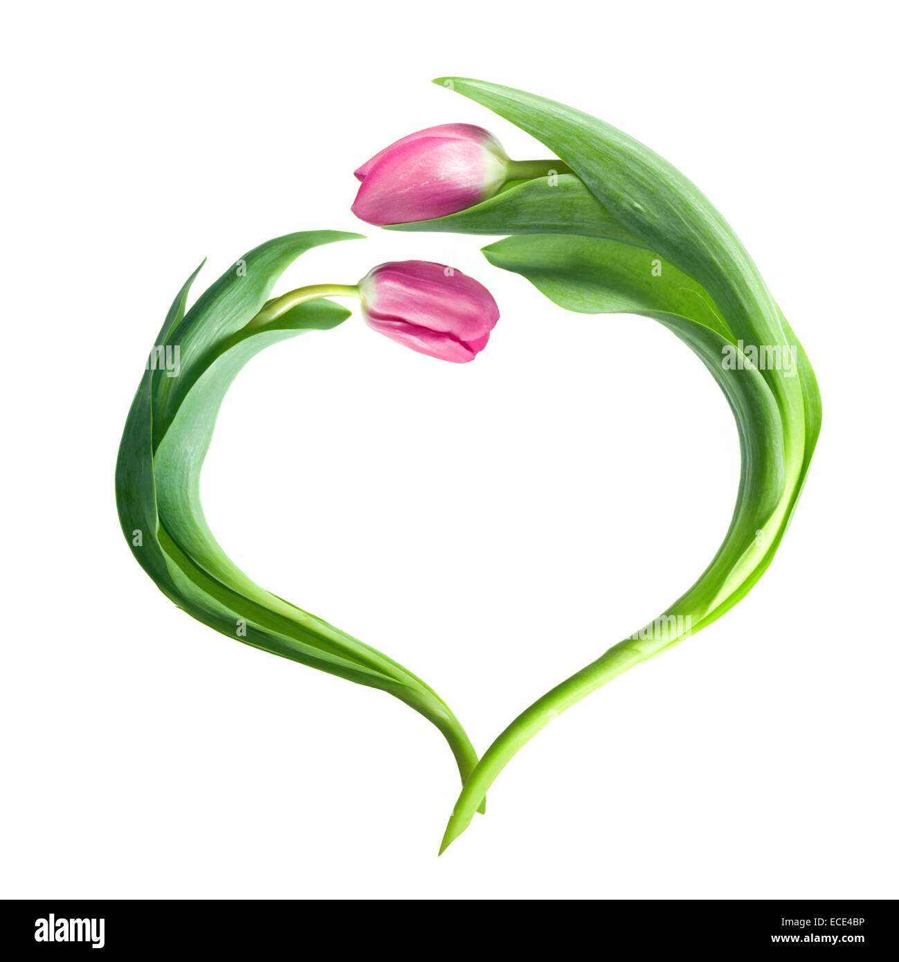 Beautiful purple background from Cut Out Stock Images & Pictures - Alamy