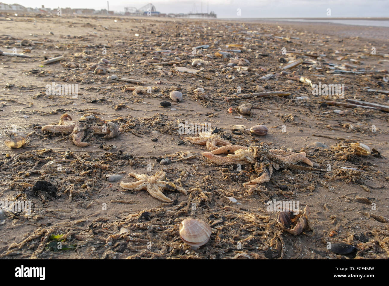 Blackpool, Lancashire, UK. 12th Dec, 2014. After the weather bomb the ...