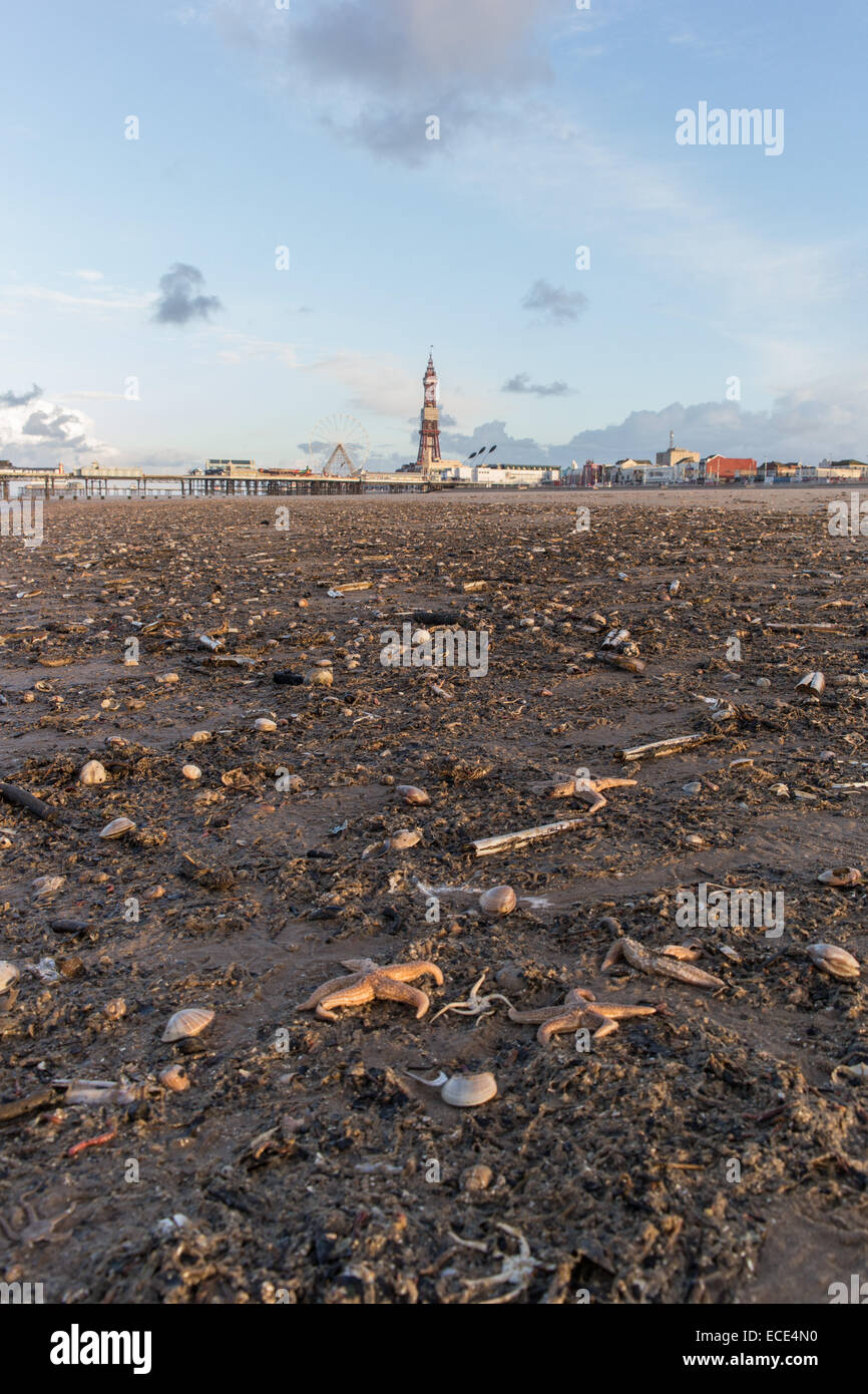 Blackpool, Lancashire, UK. 12th Dec, 2014. After the weather bomb the ...
