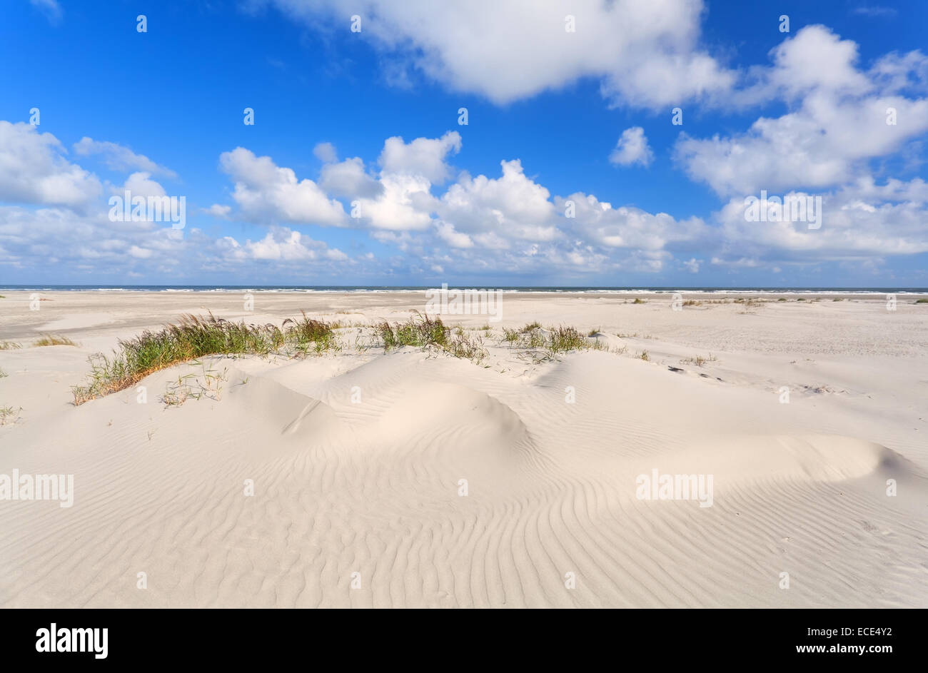 sand dunes and blue sky at coast, Holland Stock Photo - Alamy