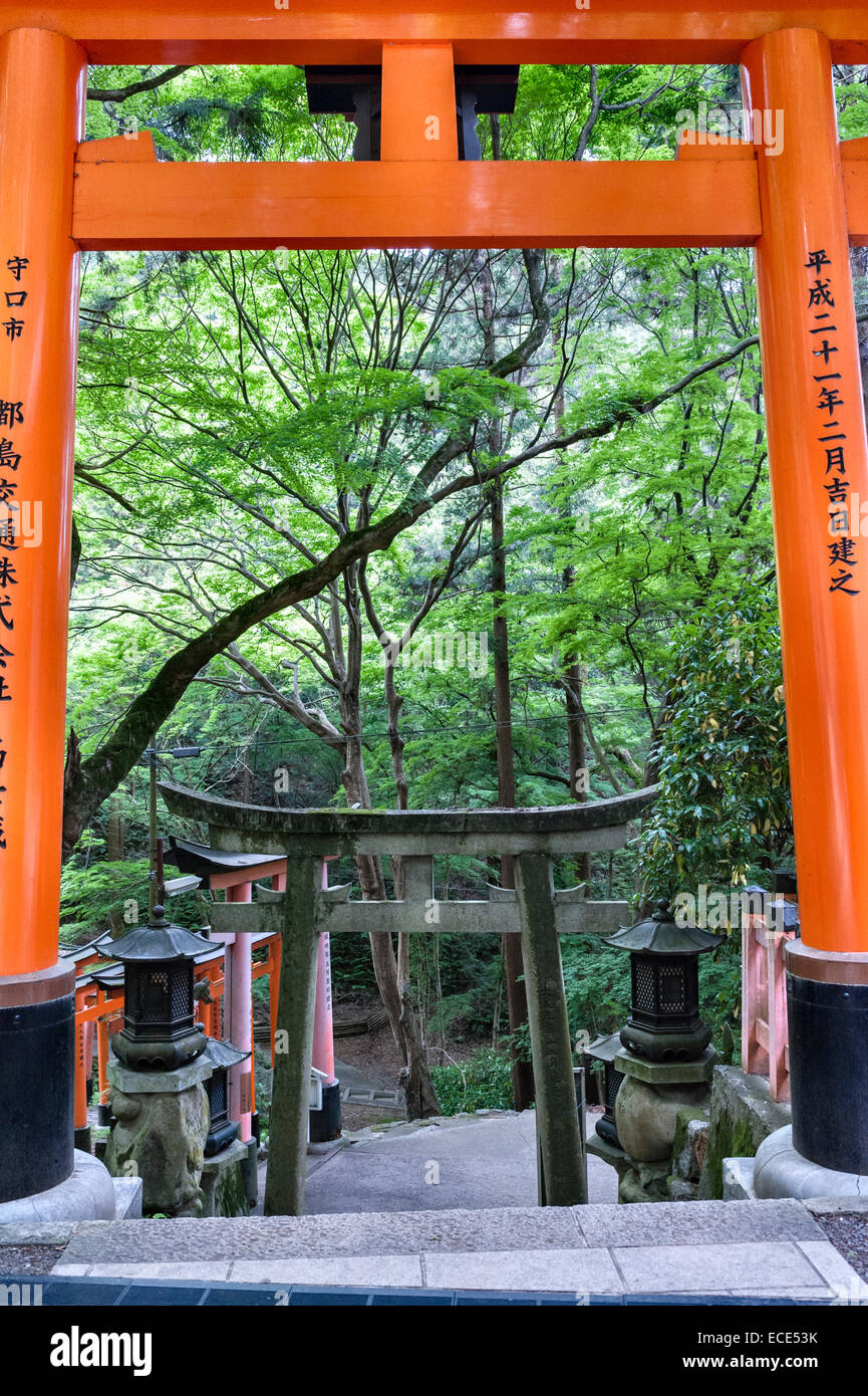 A thousand red torii gates line the mountainside at Fushimi Inari ...