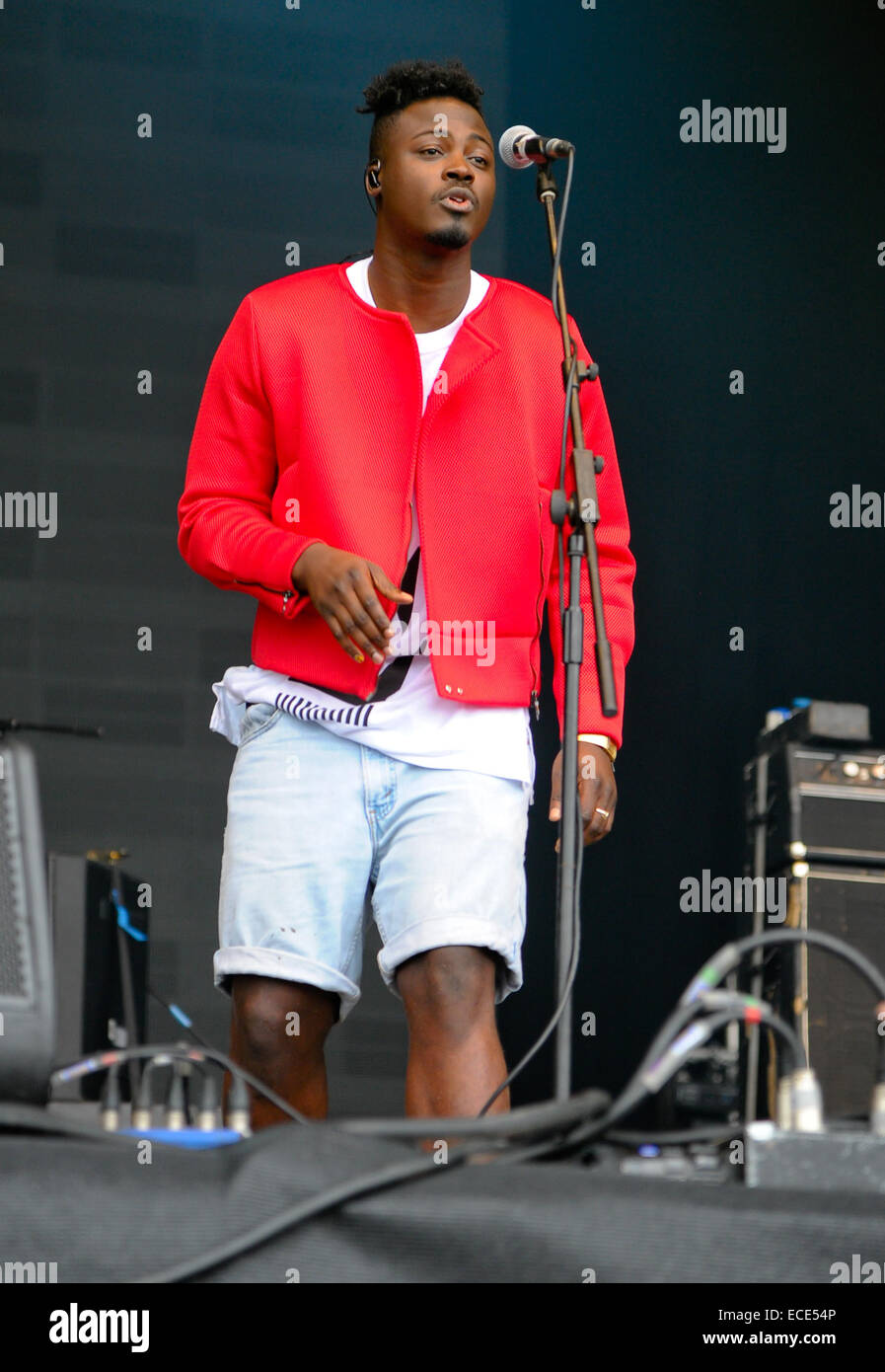 The 2014 Parklife Weekender - Day 1 - Performances Featuring: Bipolar ...