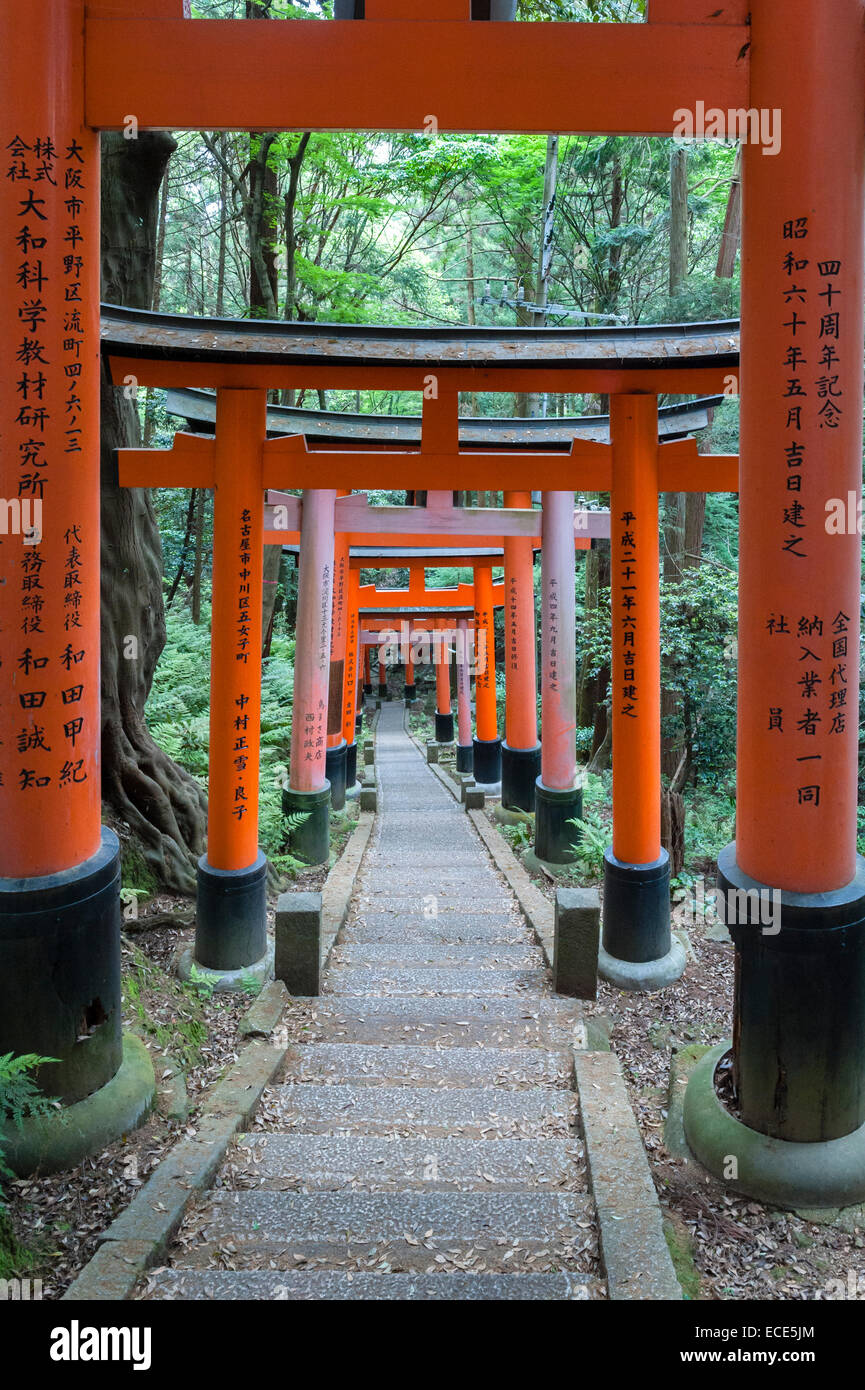 A thousand red torii gates line the mountainside at Fushimi Inari ...
