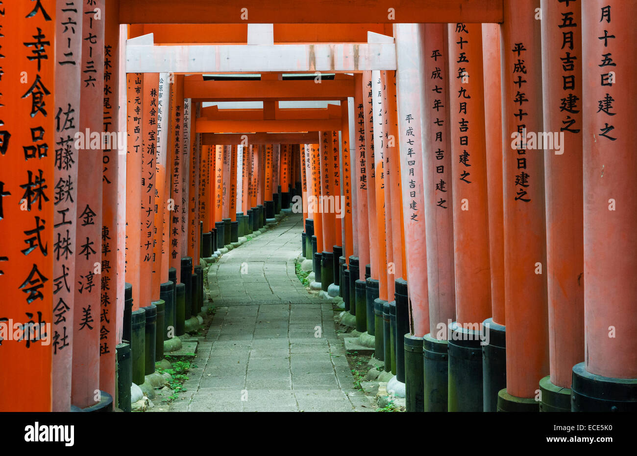 A thousand red torii gates line the mountainside at Fushimi Inari ...