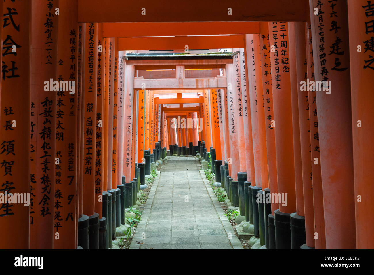 A thousand red torii gates line the mountainside at Fushimi Inari ...