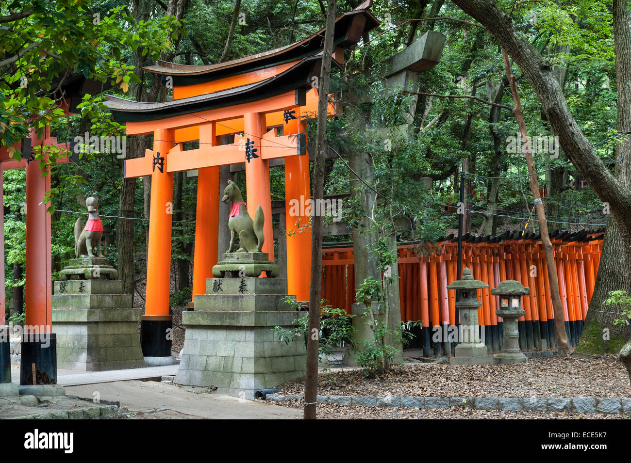 A thousand red torii gates line the mountainside at Fushimi Inari ...