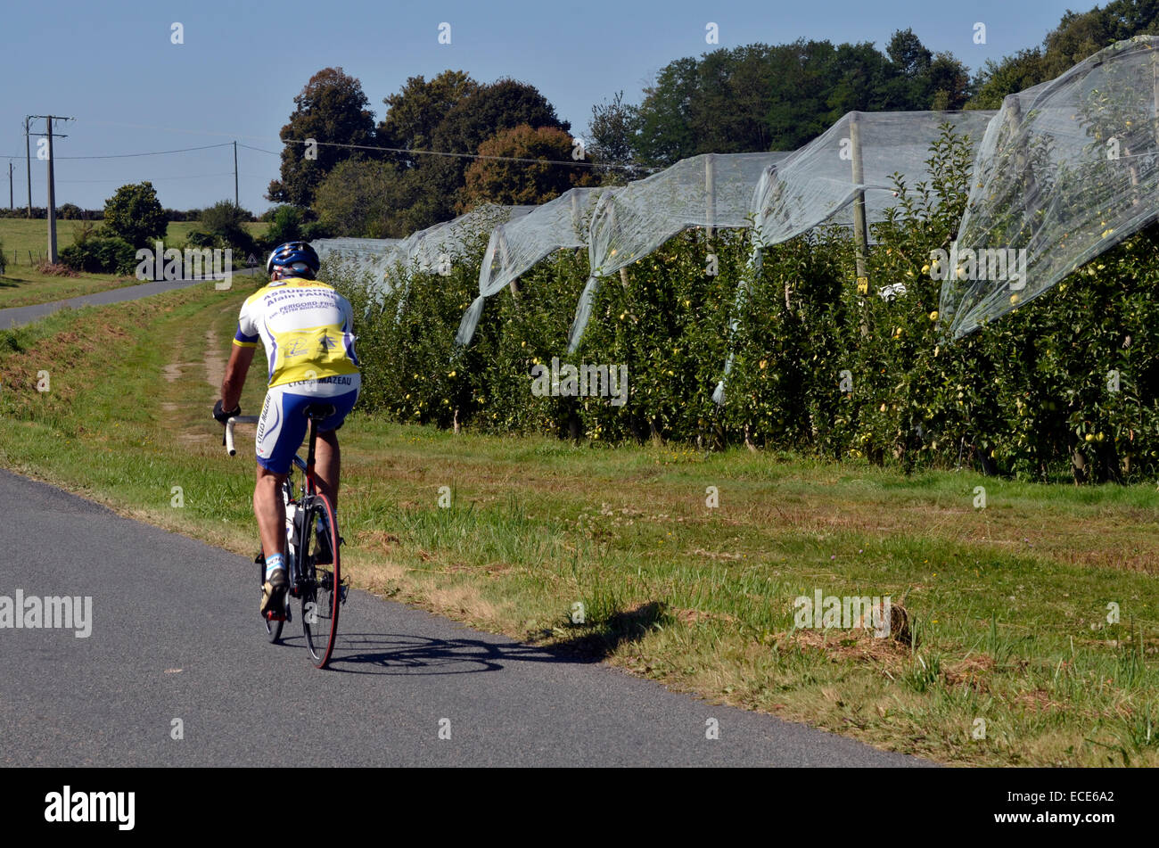 Commercial apple orchard hi-res stock photography and images - Alamy