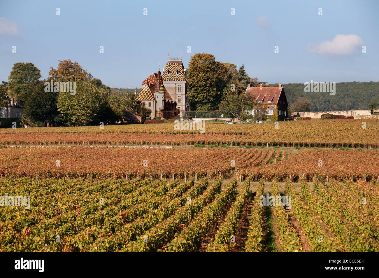Aloxe corton chateau hi-res stock photography and images - Alamy