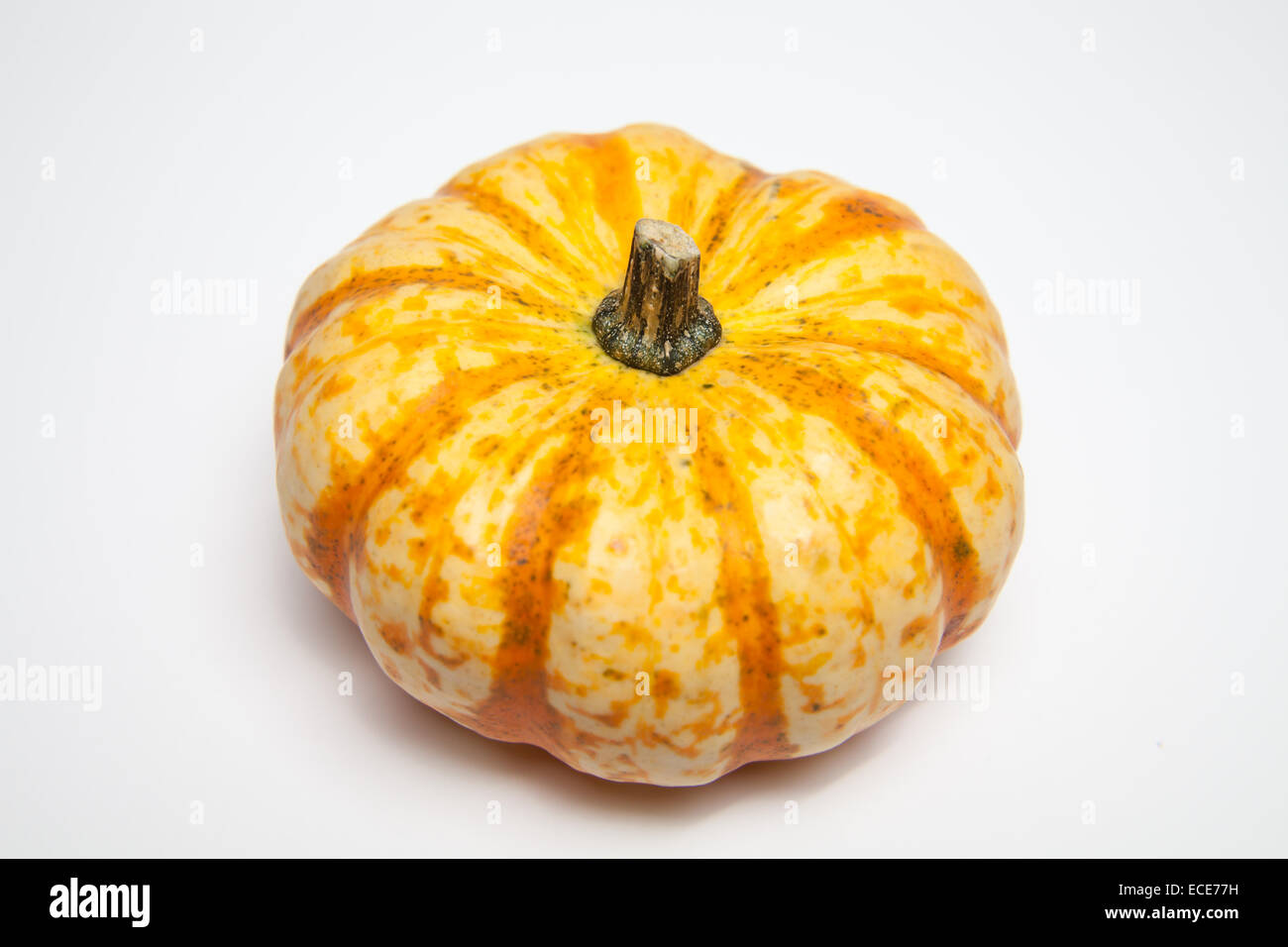 yellow calabash on white background Stock Photo - Alamy