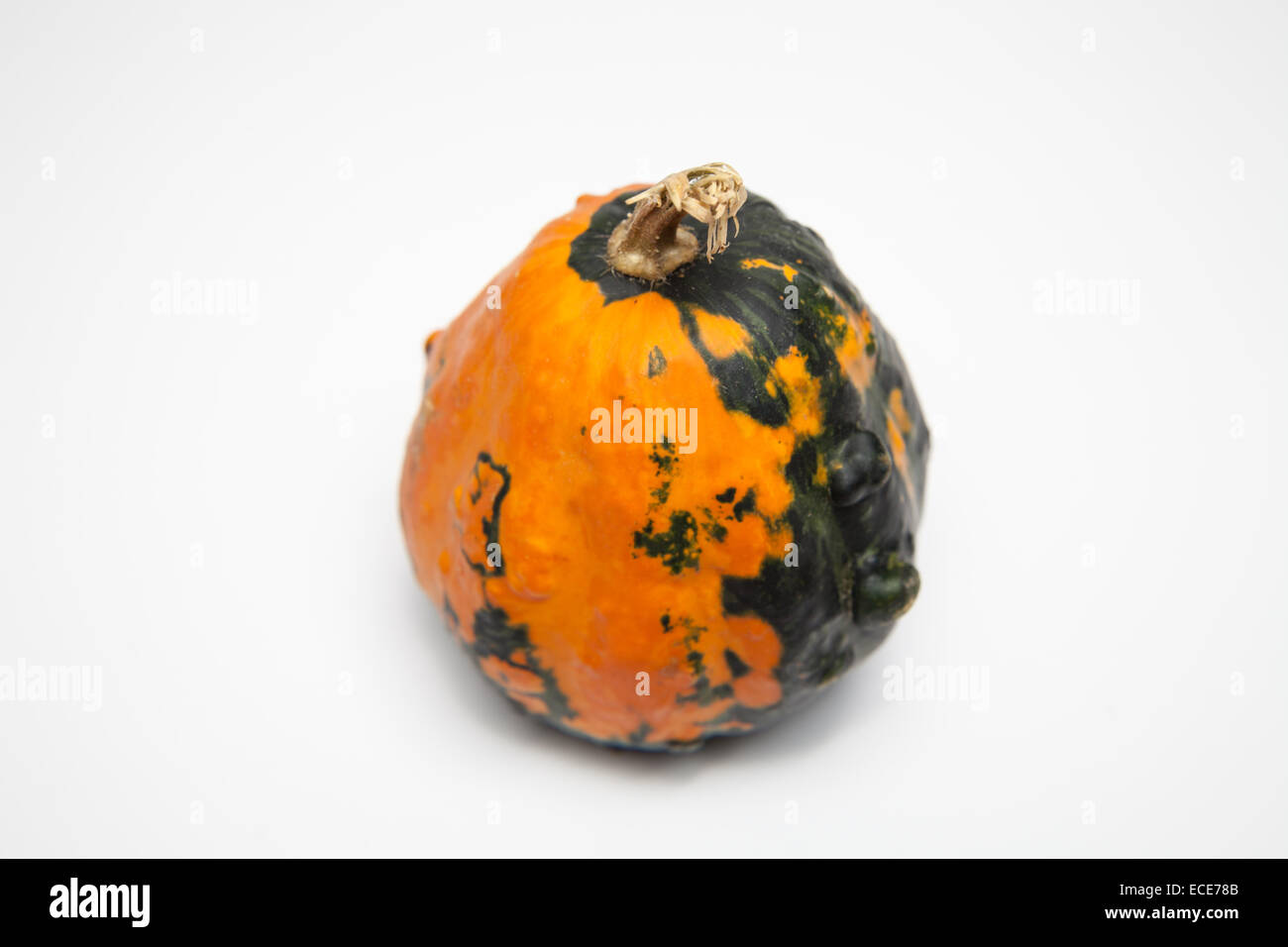 orange green calabash on white background Stock Photo - Alamy