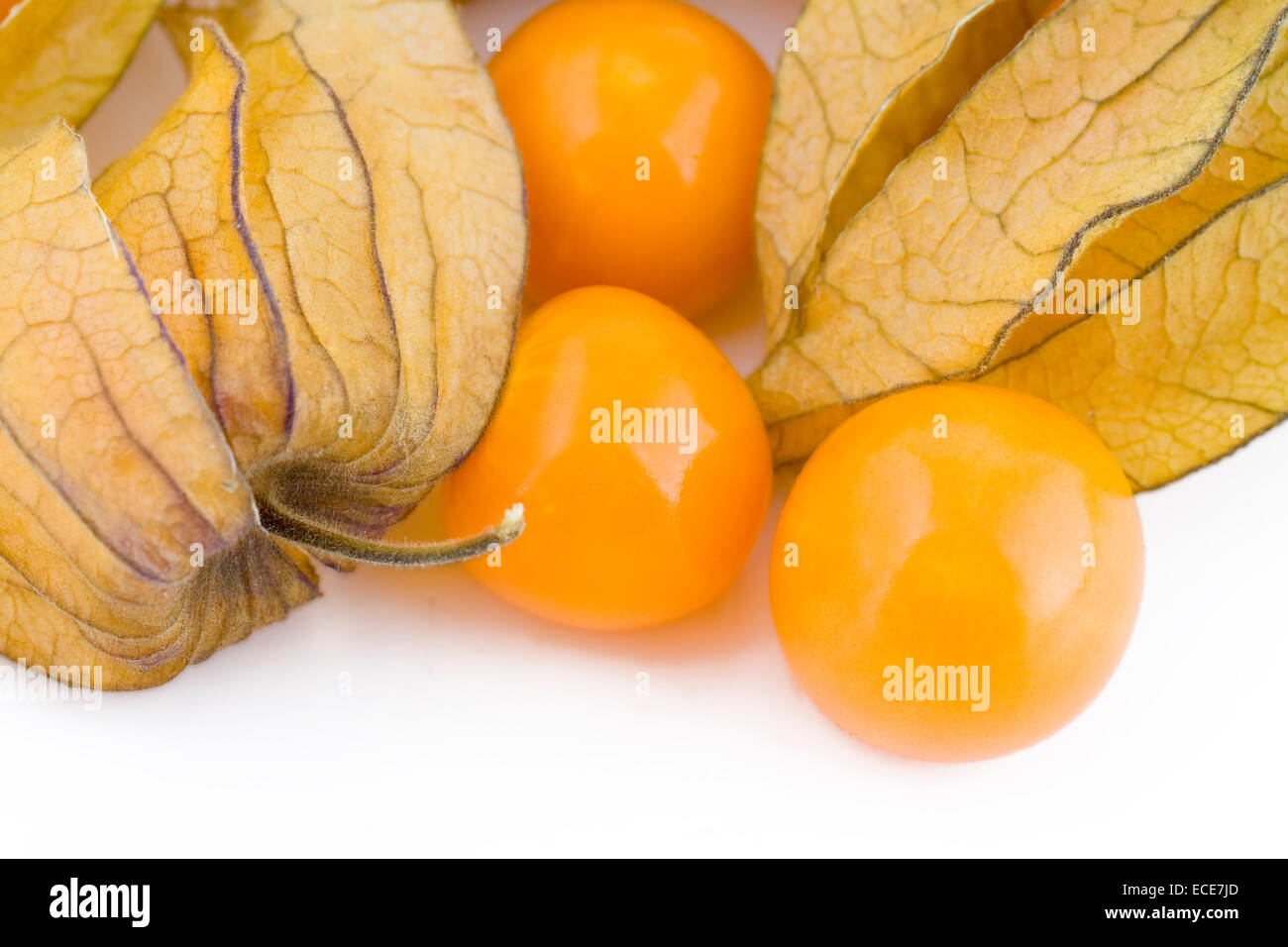 Fresh small physalis isolated on white background, jam-berry fruits ...