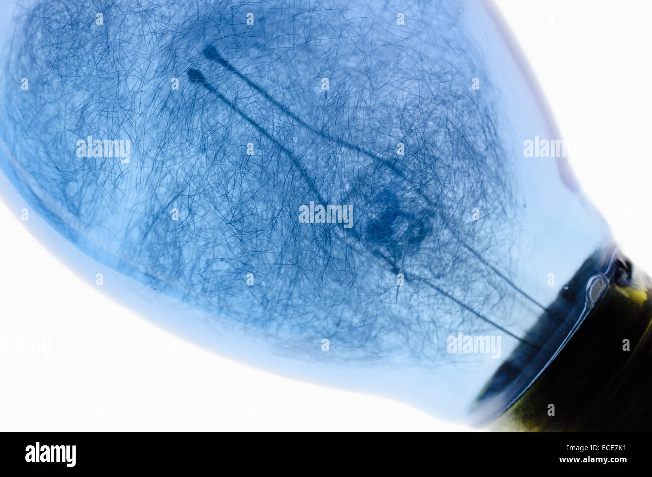 Old fashioned concept for flash light bulb filled with thin strands of ...