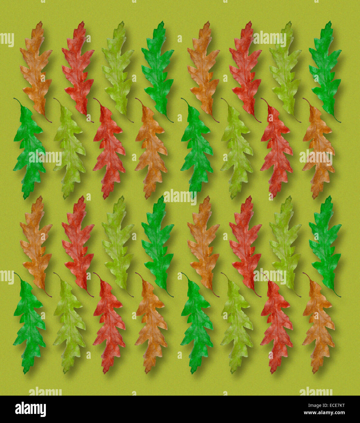 Oak leaf pattern hi-res stock photography and images - Alamy