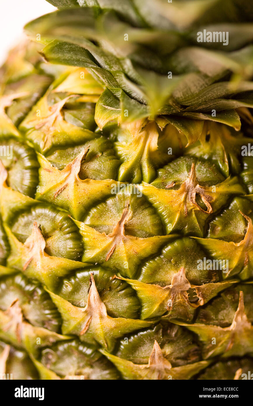 Focus on pineapple texture, ananas fruit background Stock Photo - Alamy