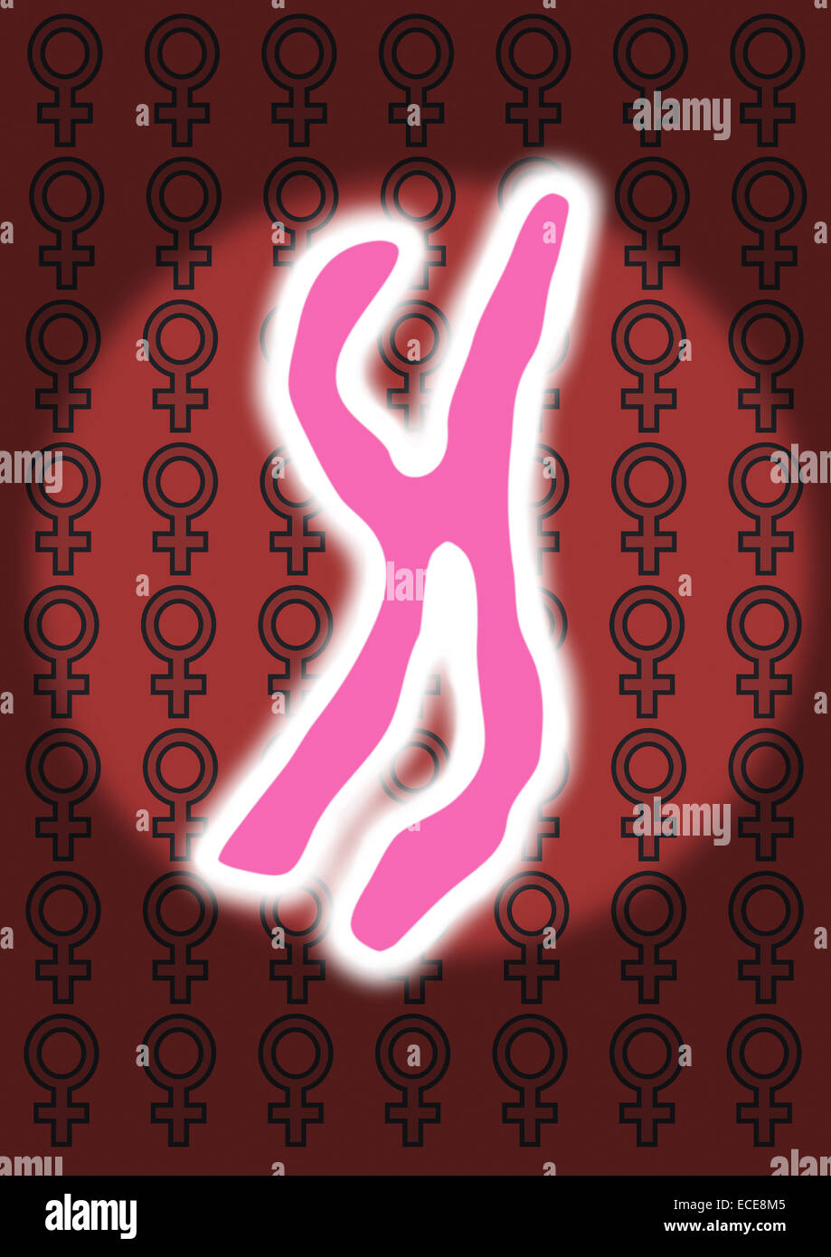 X Chromosome (Female Stock Photo - Alamy