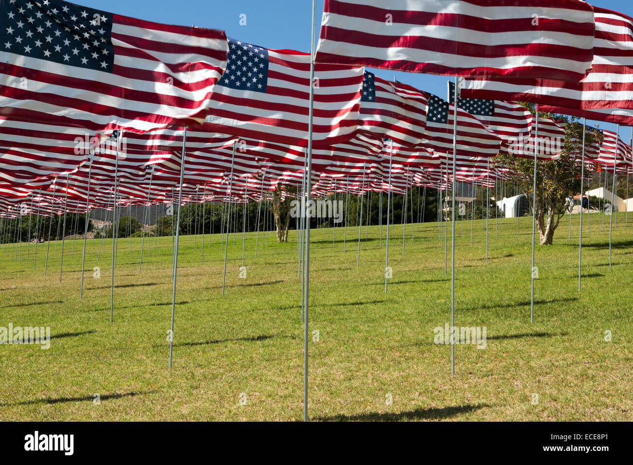 Flags Sea High Resolution Stock Photography and Images - Alamy